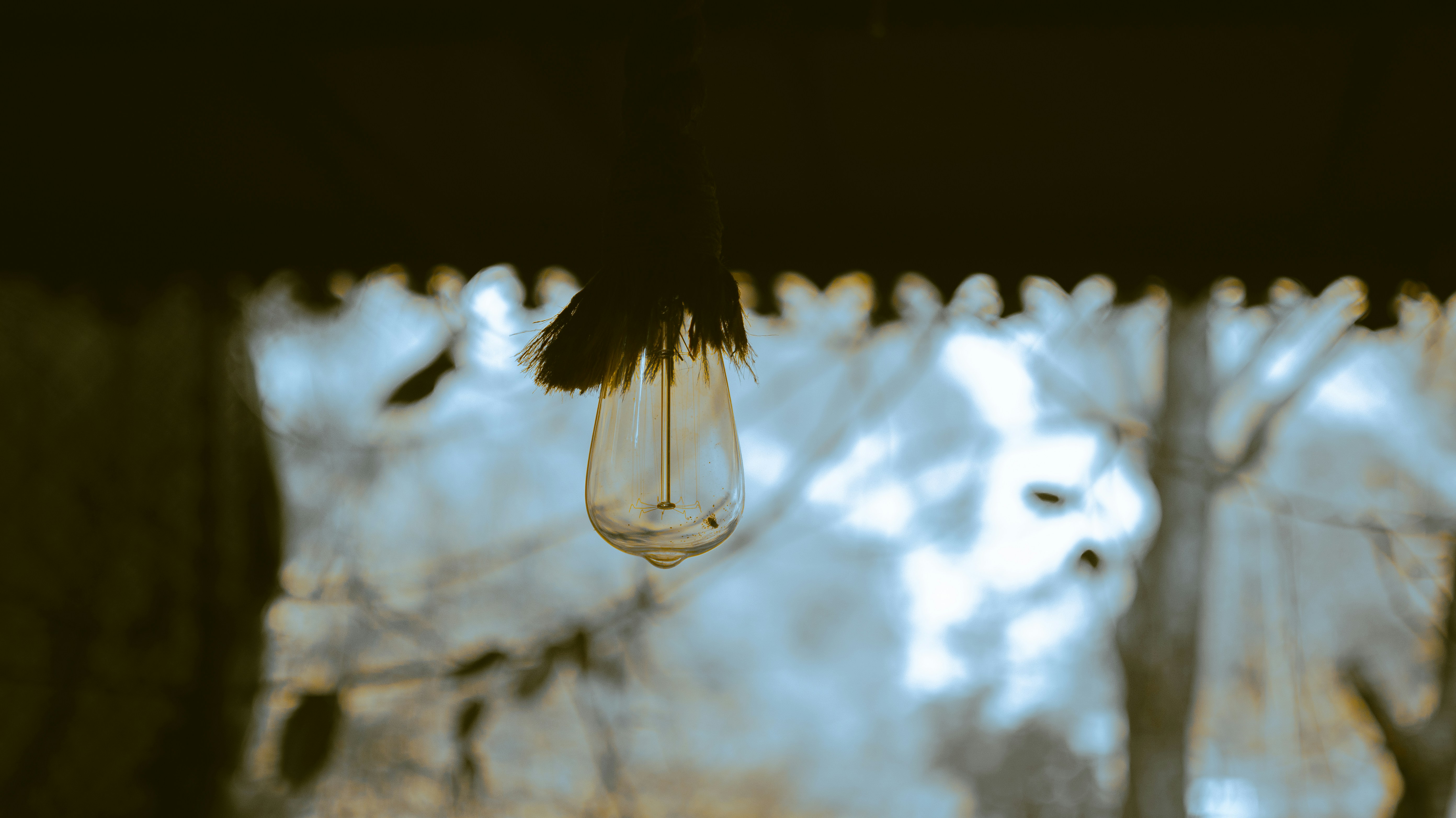 Photo by Sanaila Rasheed with Nikon Z50