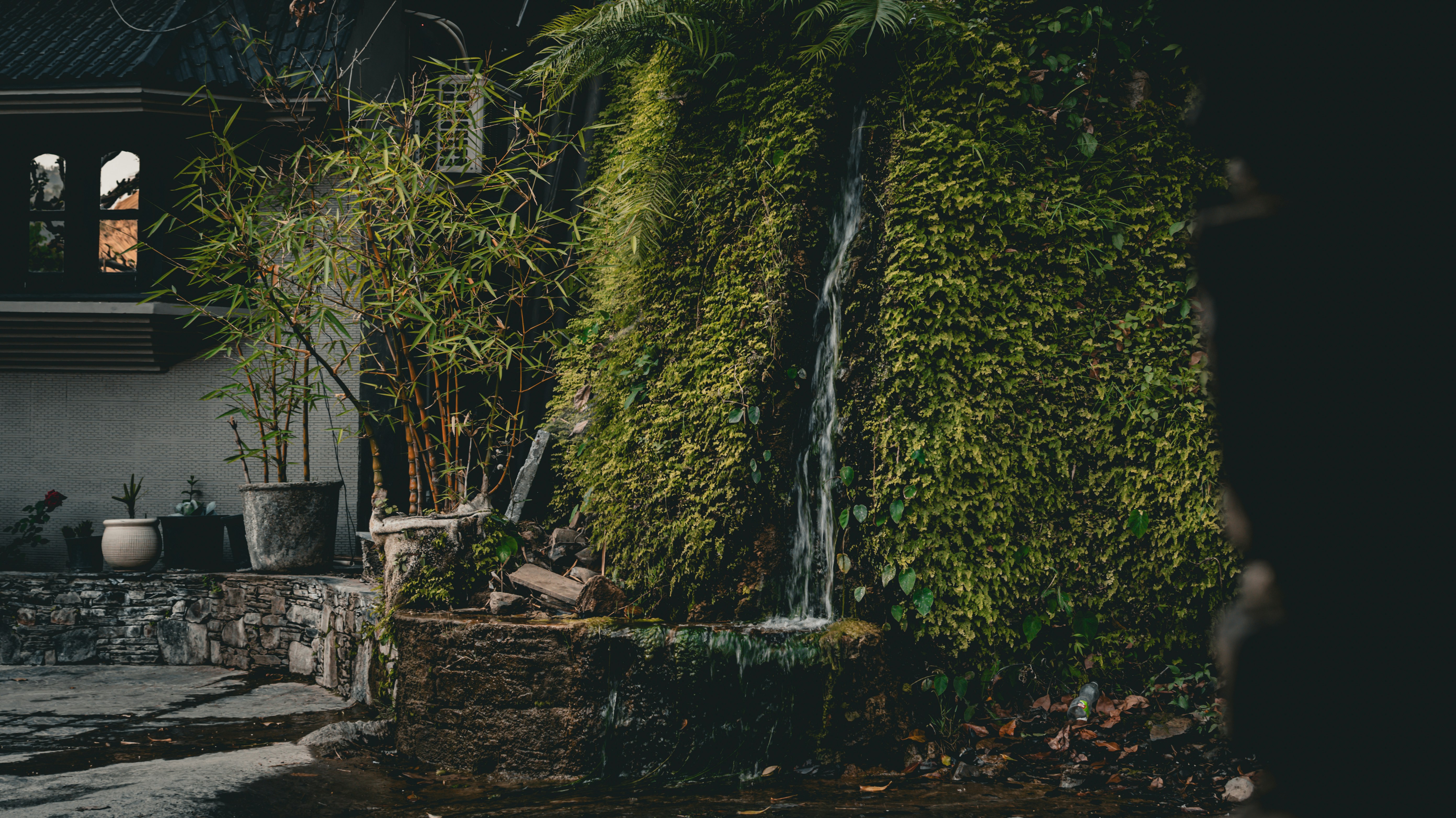 Photo by Sanaila Rasheed with Nikon Z50