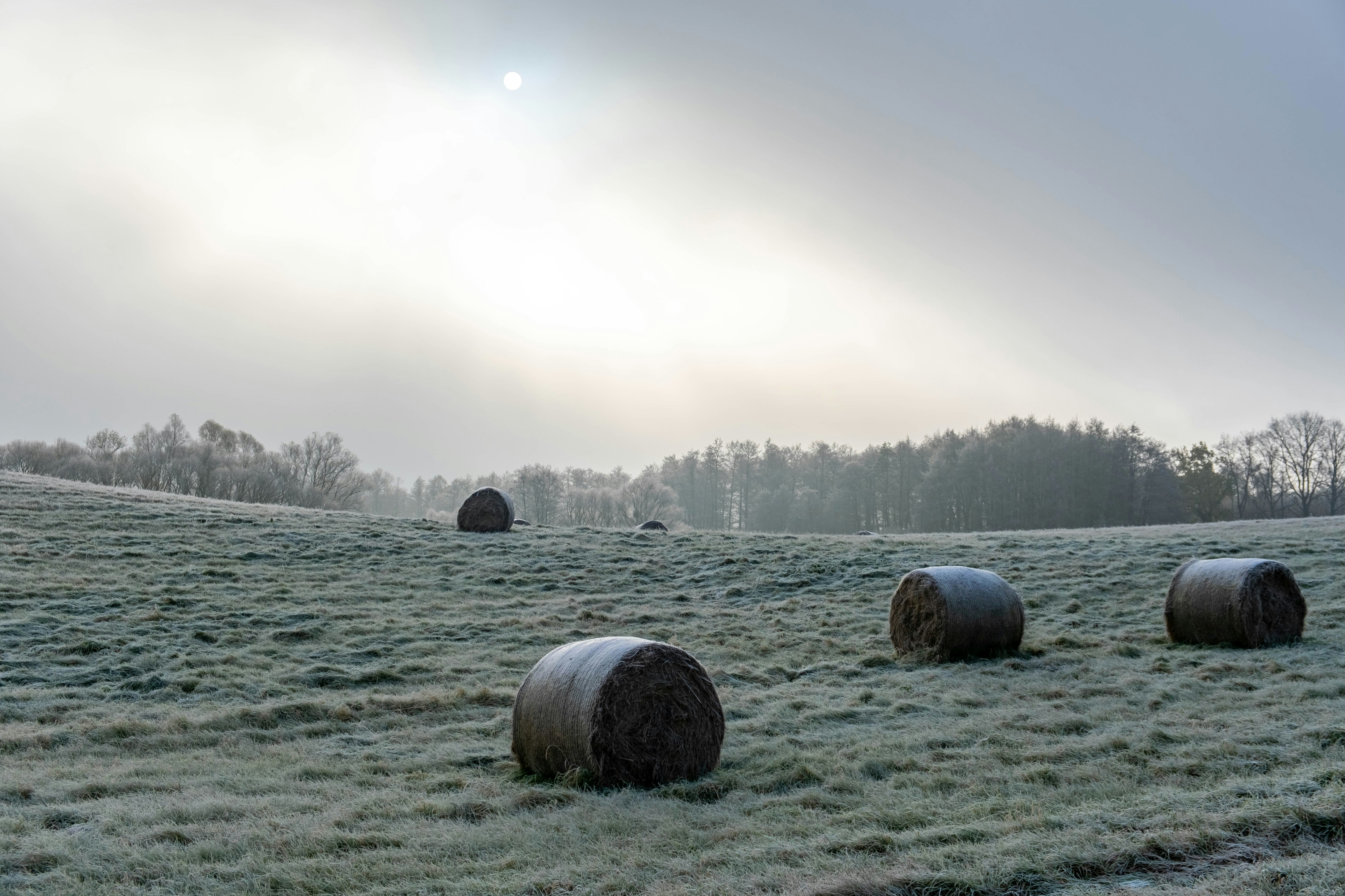 Mist-Lit Hay Bales at the Edge of Dawn