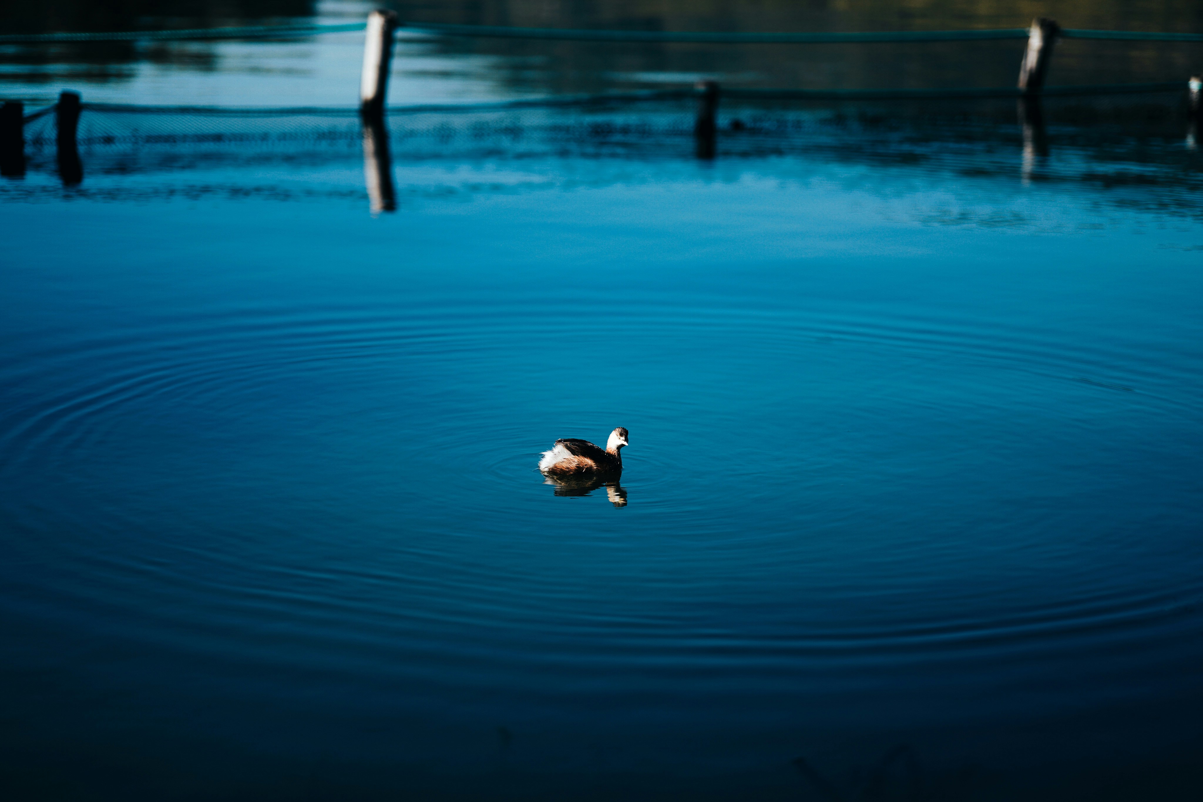 Photo by eddie tan with Panasonic Lumix S9