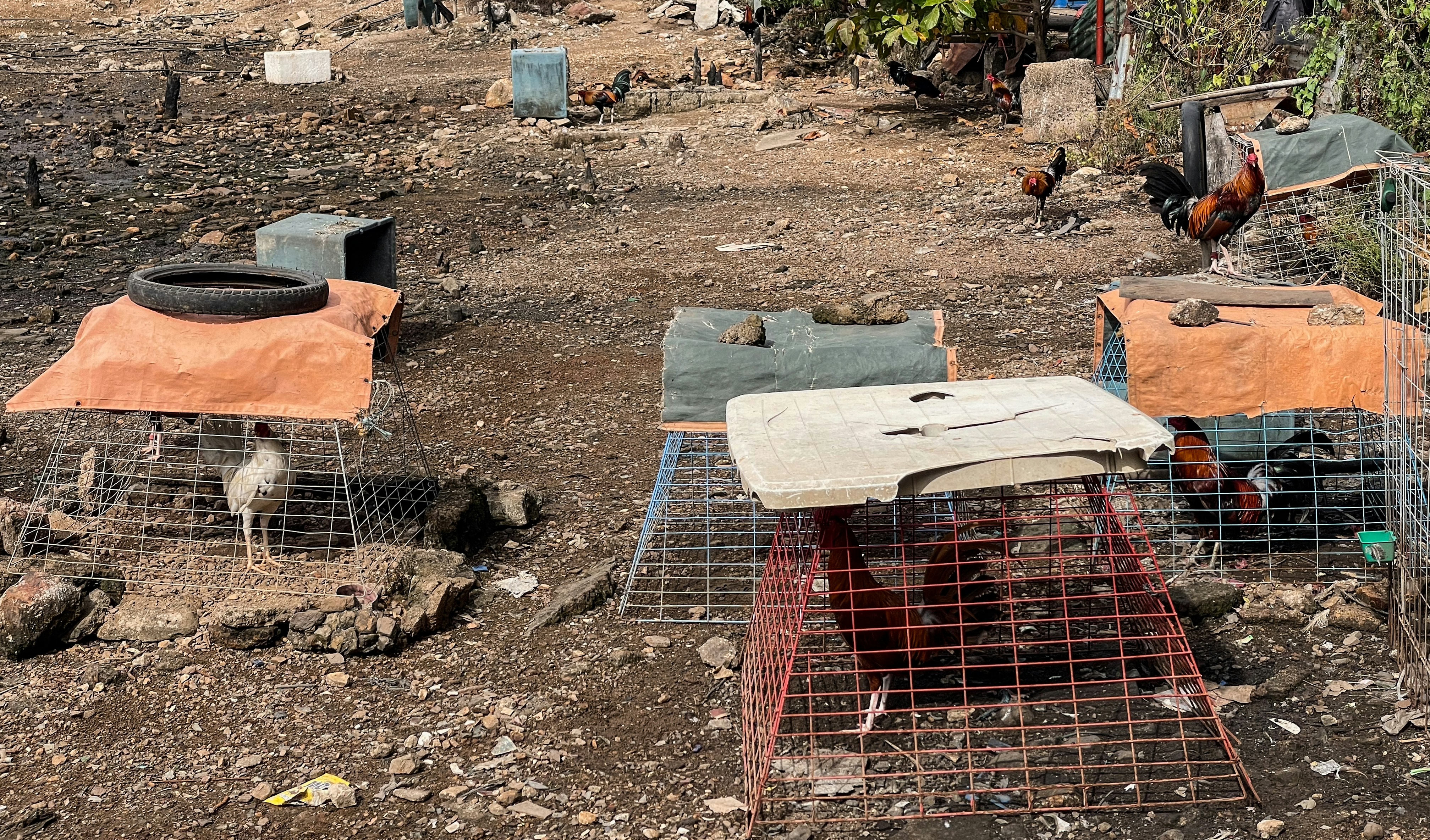 Photo by Bernd 📷 Dittrich with Apple iPhone 12 Pro