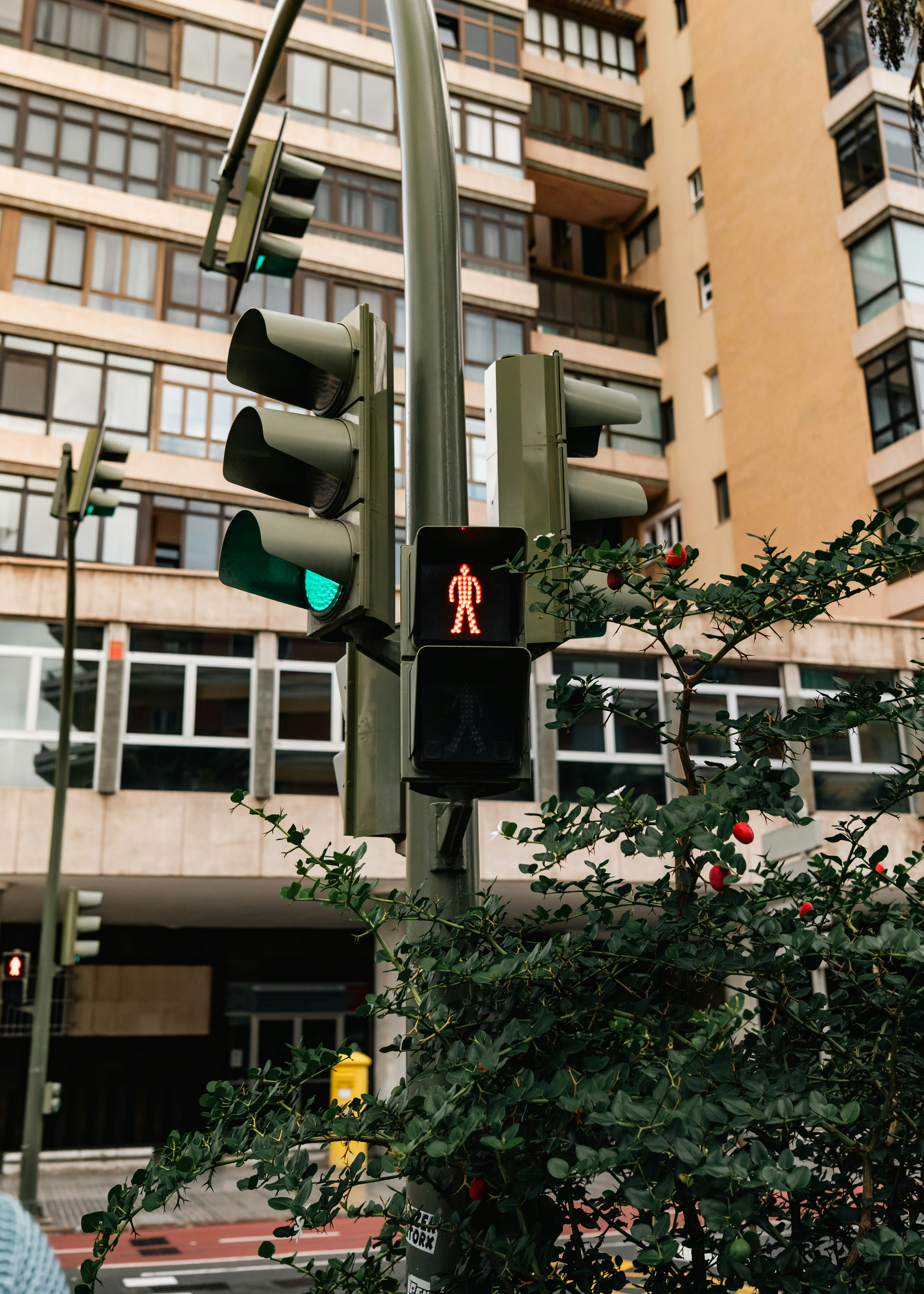 Photo by Jack Stapleton with Sony Alpha 7 IV