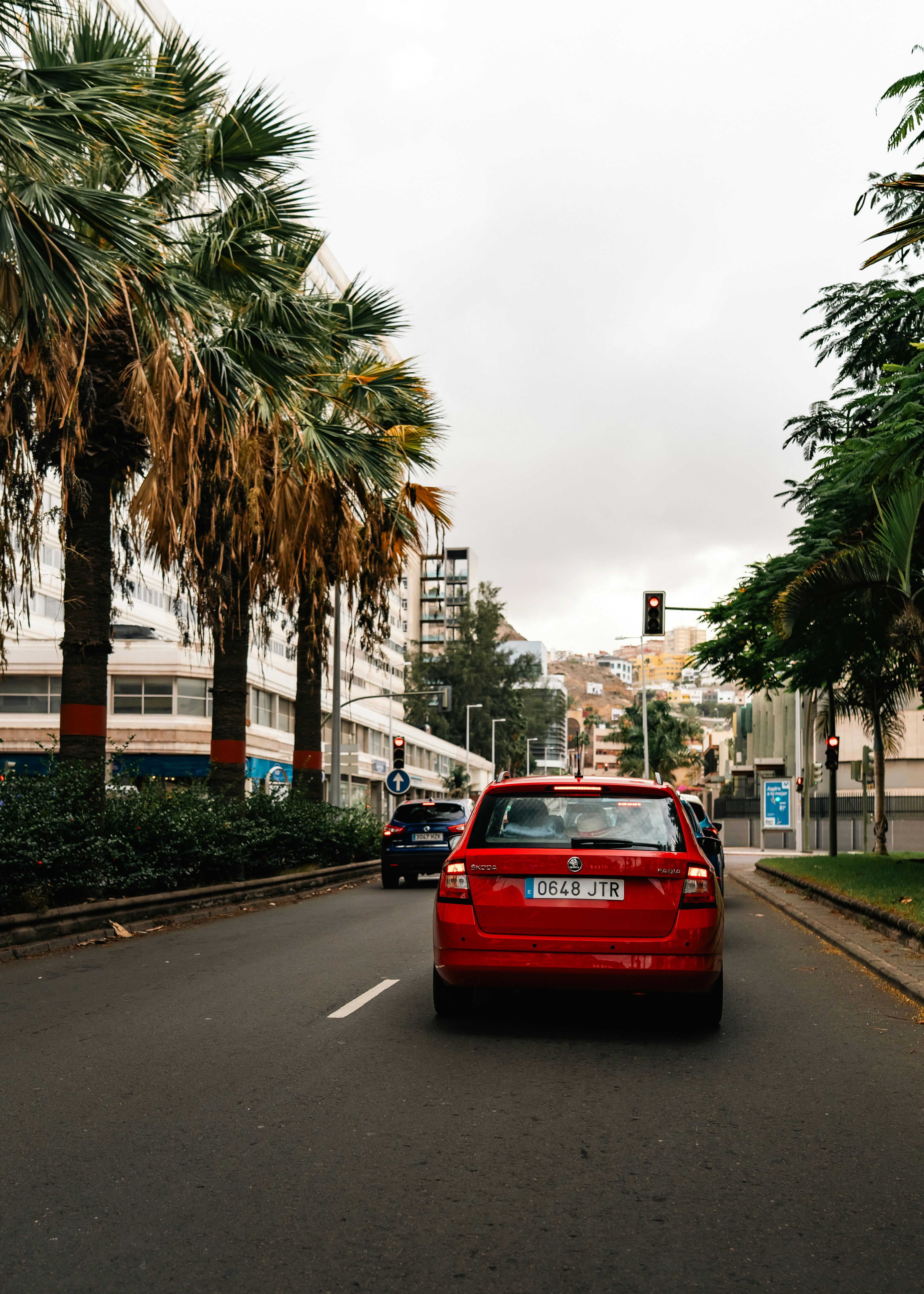 Photo by Jack Stapleton with Sony Alpha 7 IV