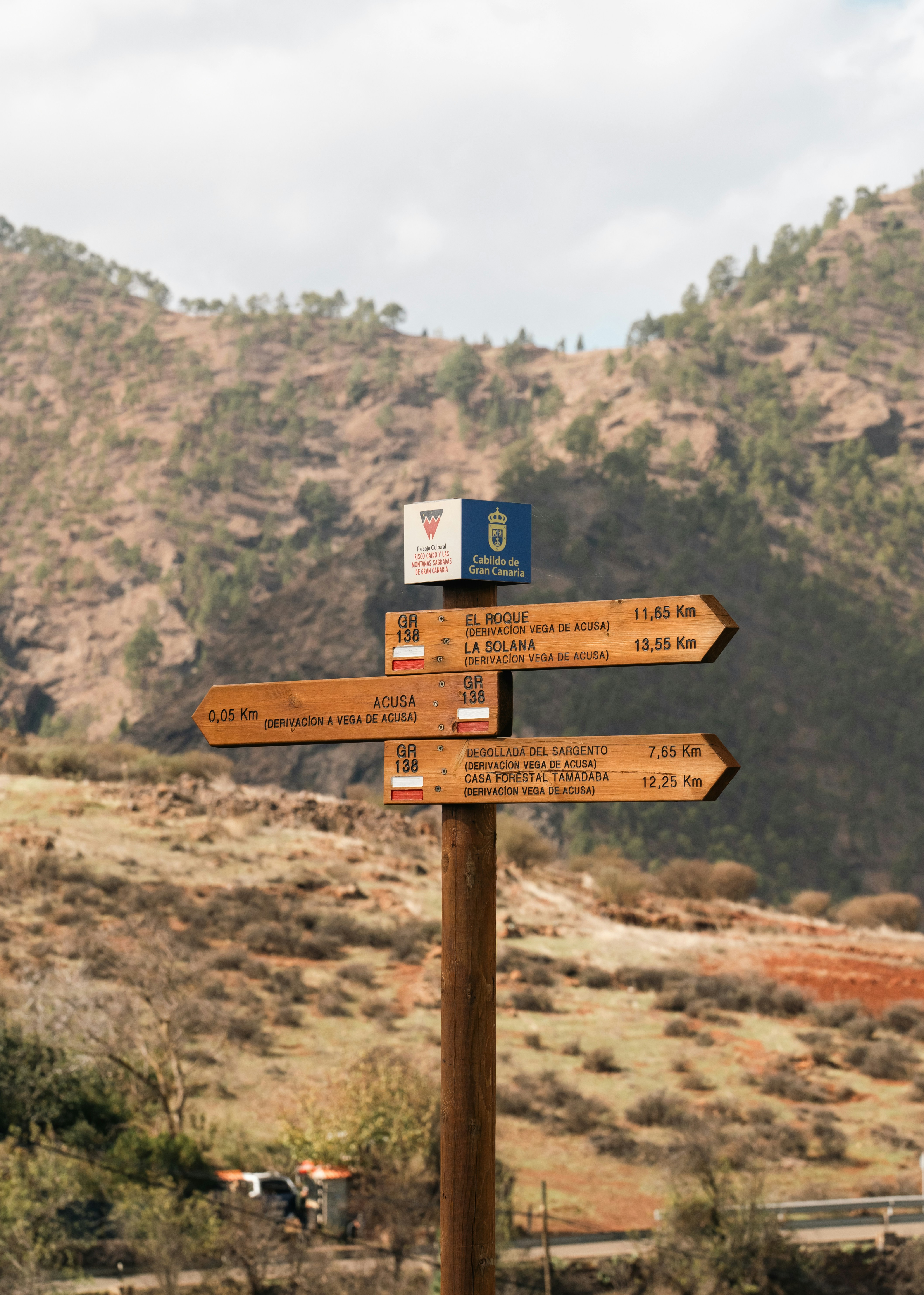 Signpost Sentinel on a Sunbaked Ridge
