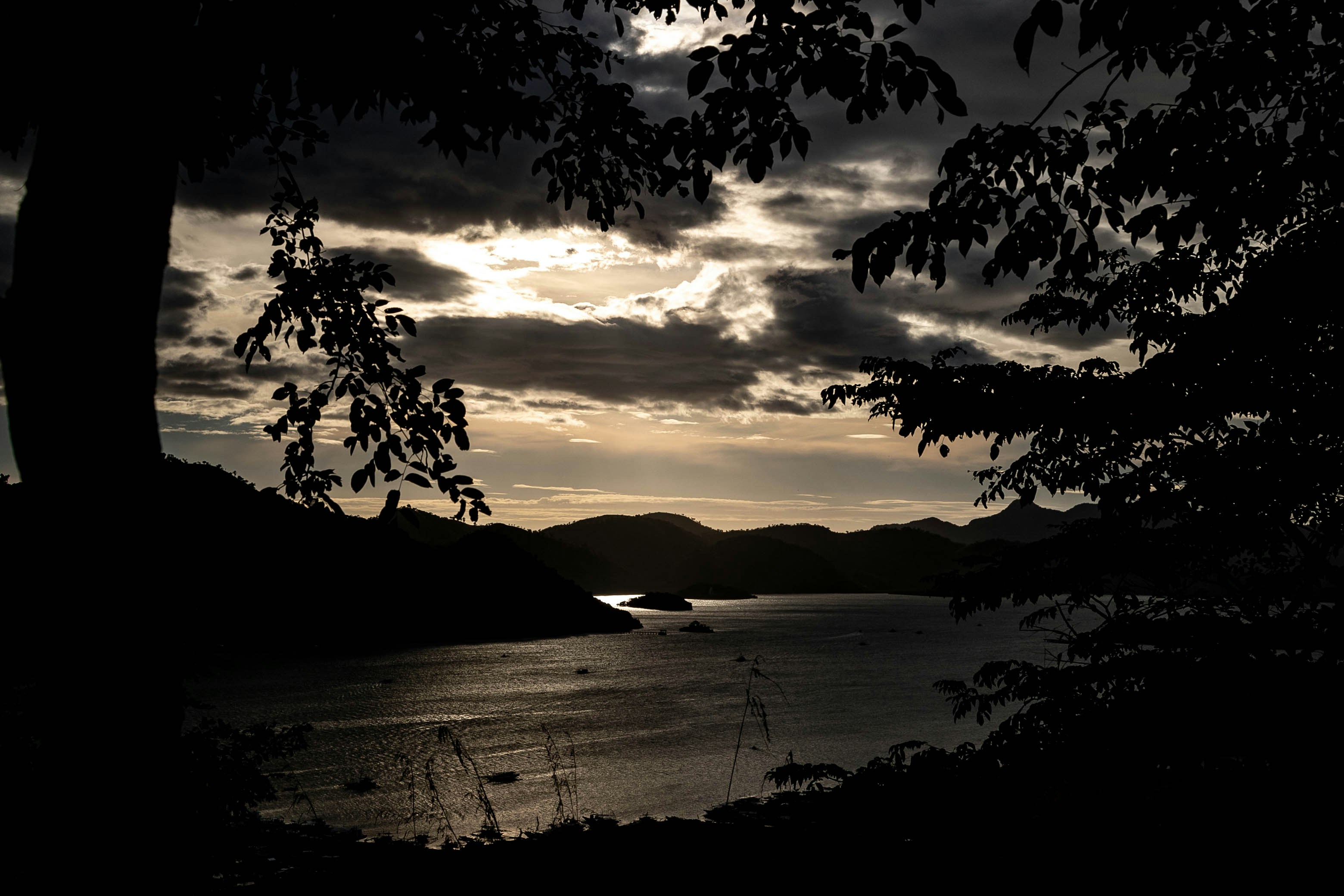 Horizon Framed by Shadowed Canopy Over a Quiet Dusk Lake
