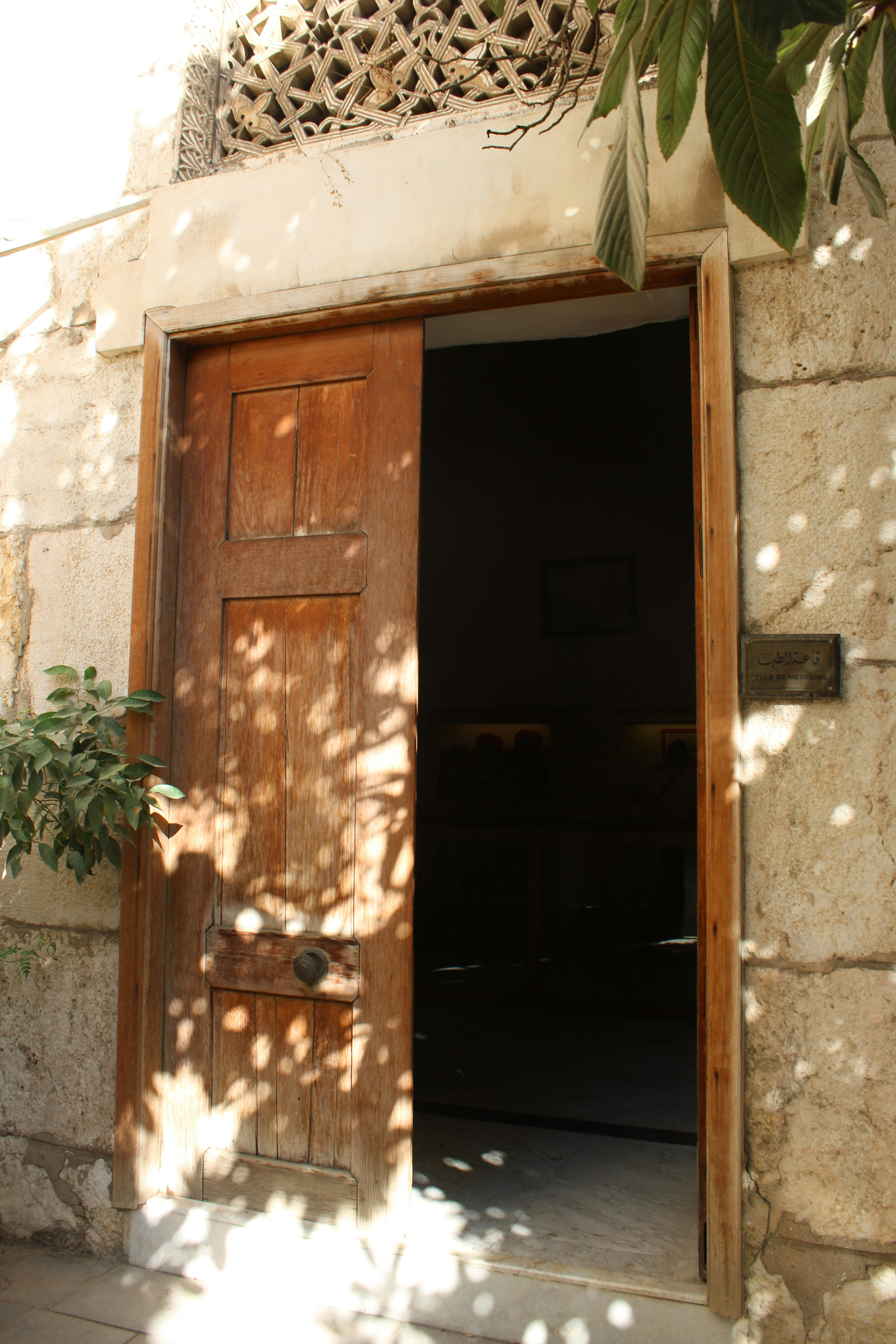 Photo by Abdallah with Canon EOS 2000D