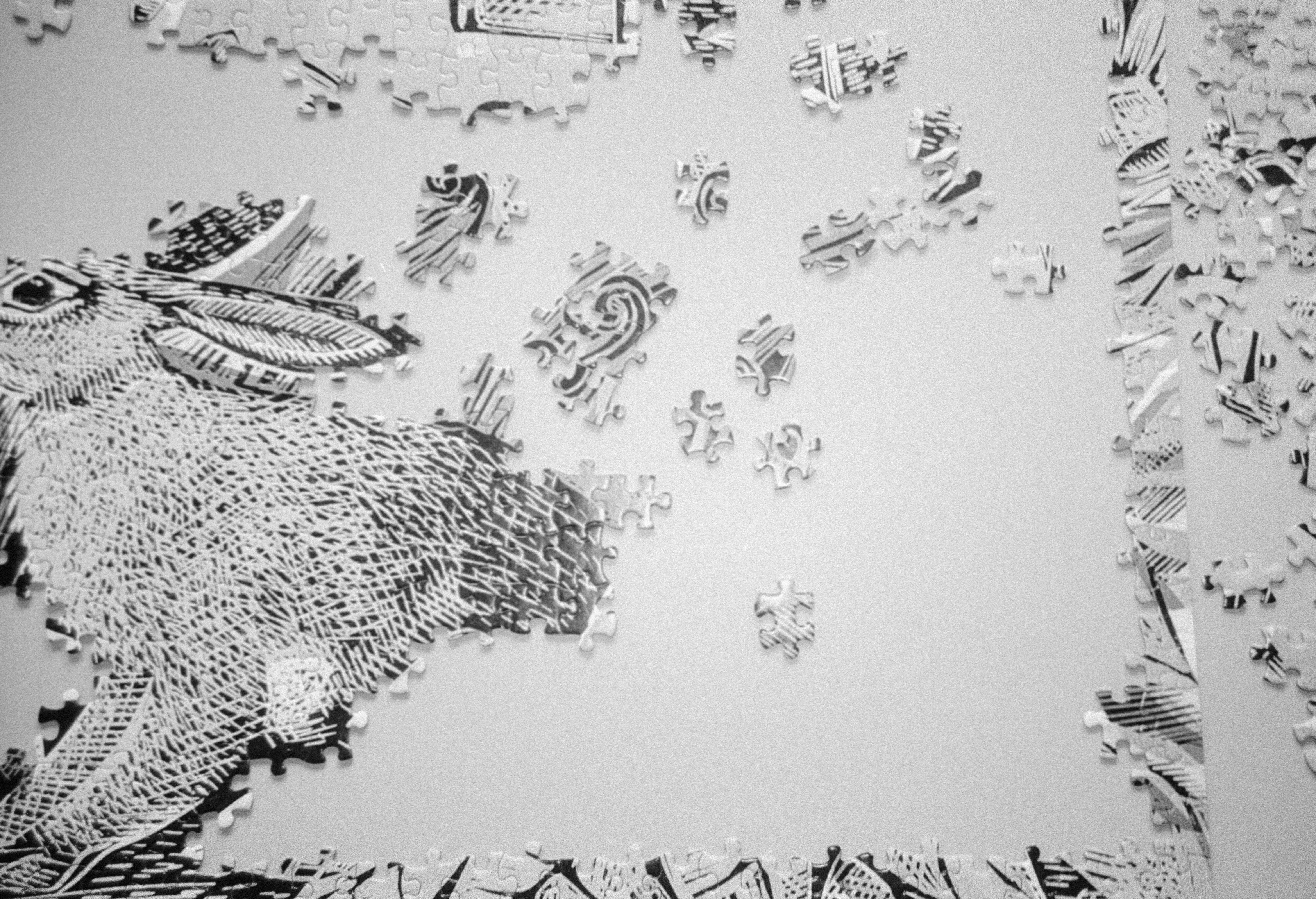 Monochrome Bird Portrait Framed by Scattered Puzzle Pieces