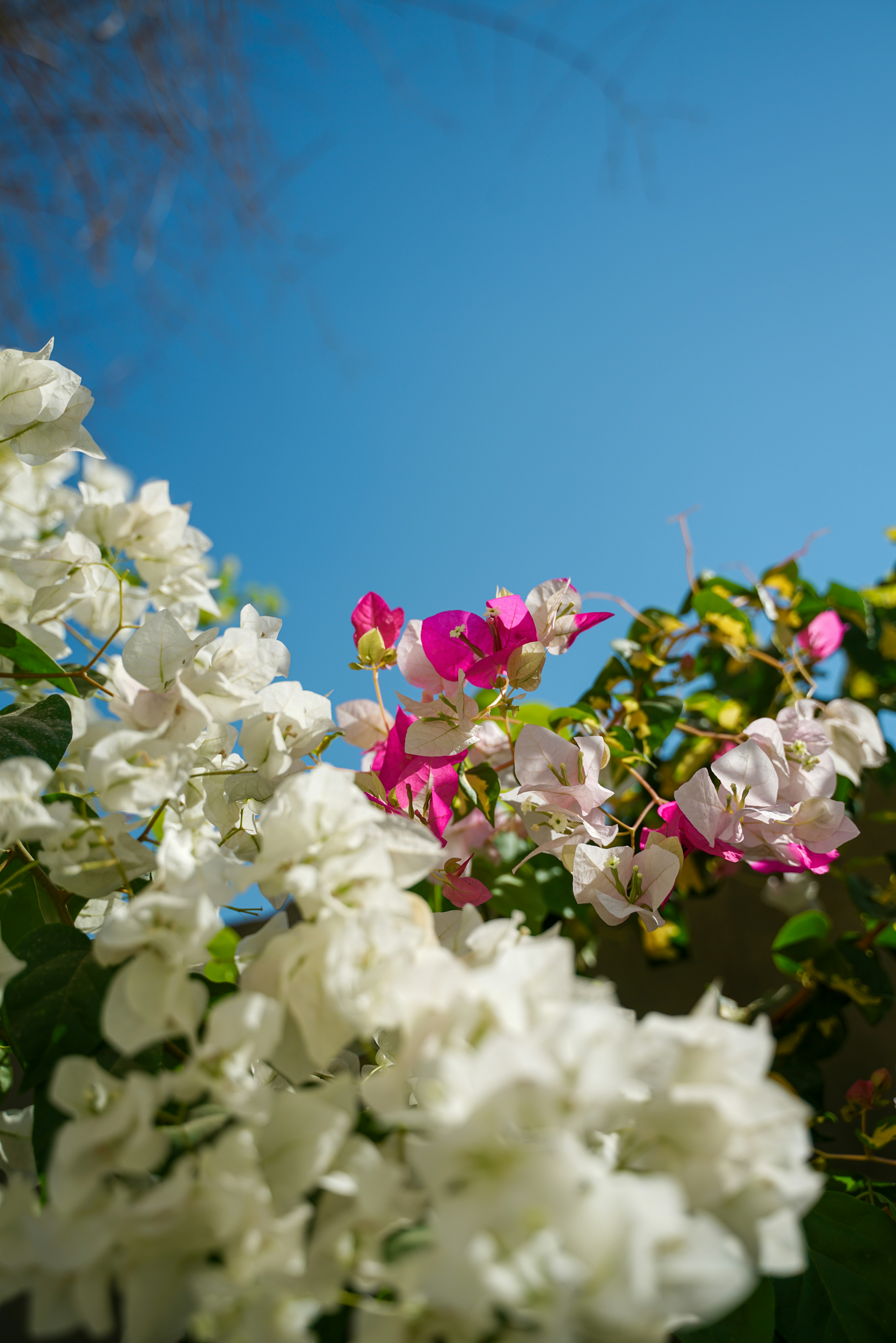 Photo by George 🦅 with Sony Alpha 7R II