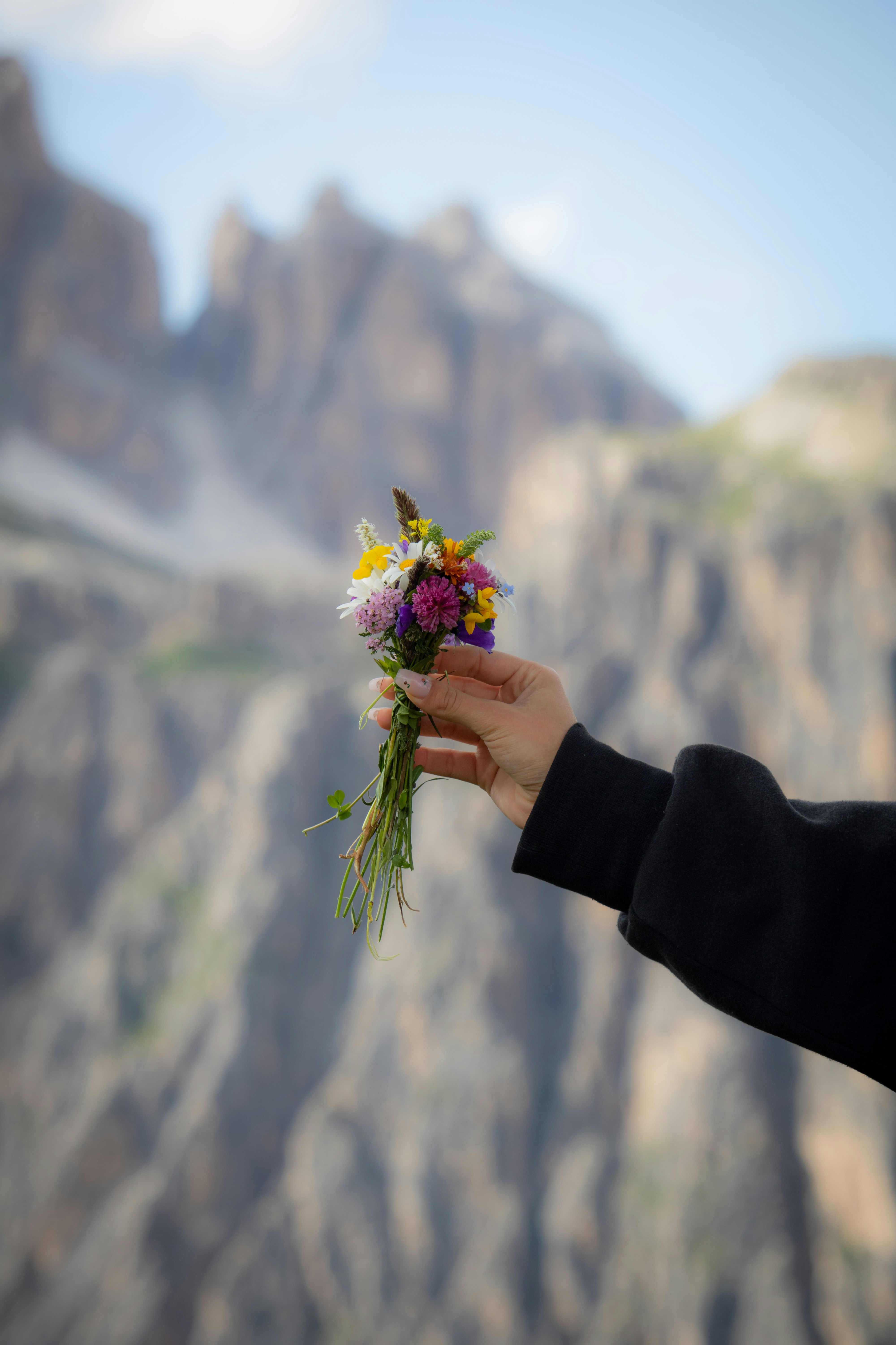 Palette of Wildflowers Framed by Majestic Canyon Cliffs