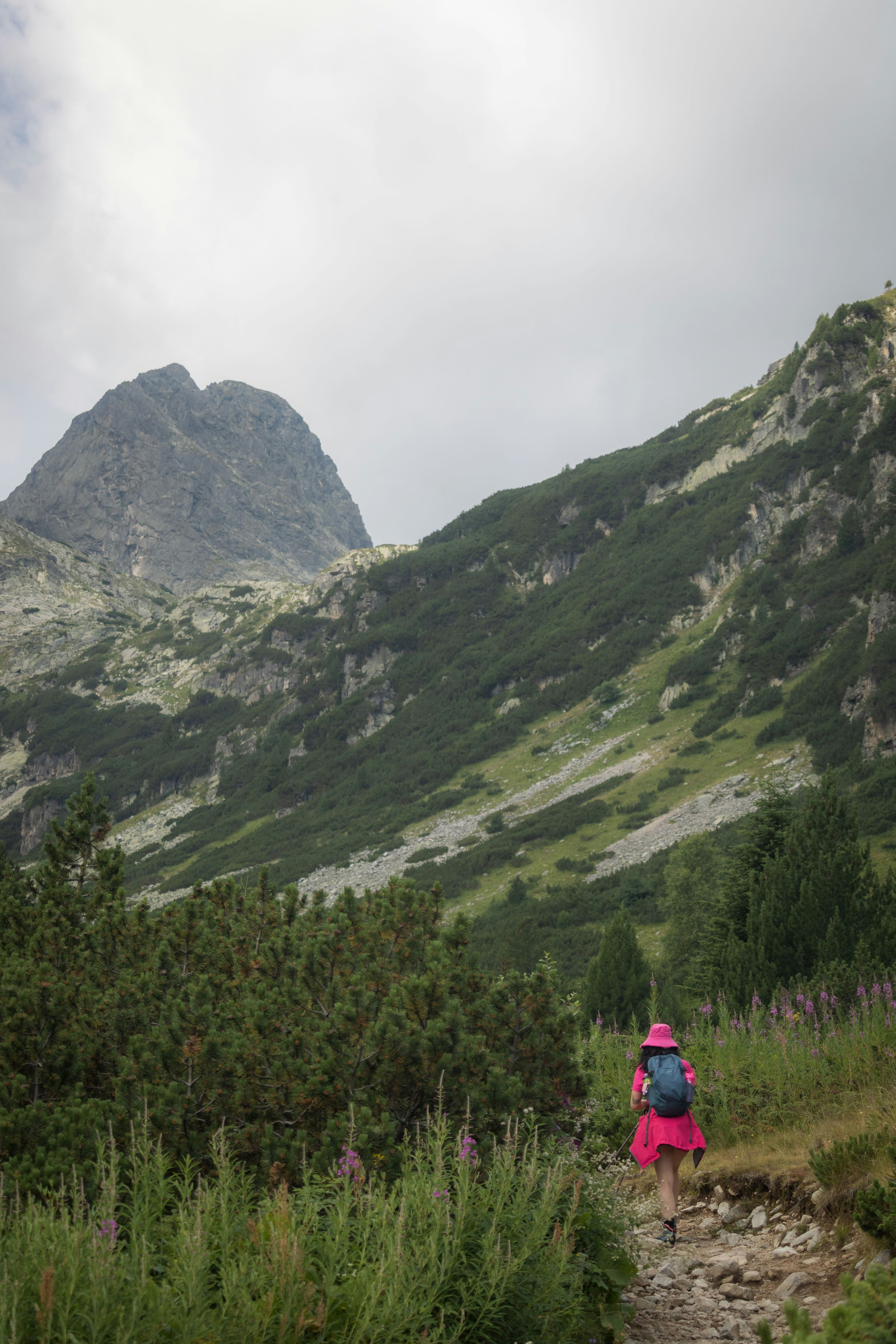 Pink-clad Trekker on a Rugged Alpine Trail