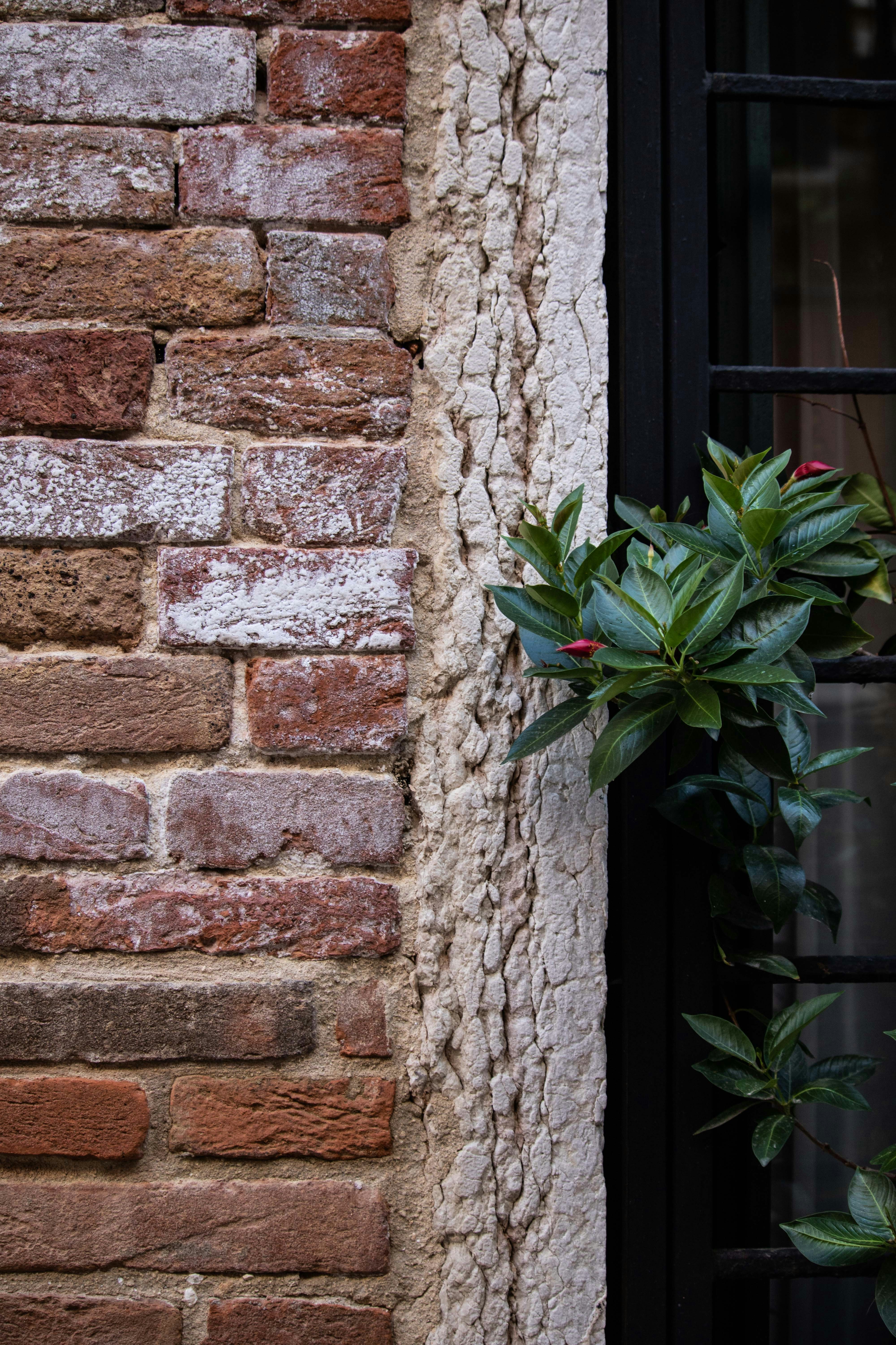 Photo by Angel Balashev with Canon EOS 750D