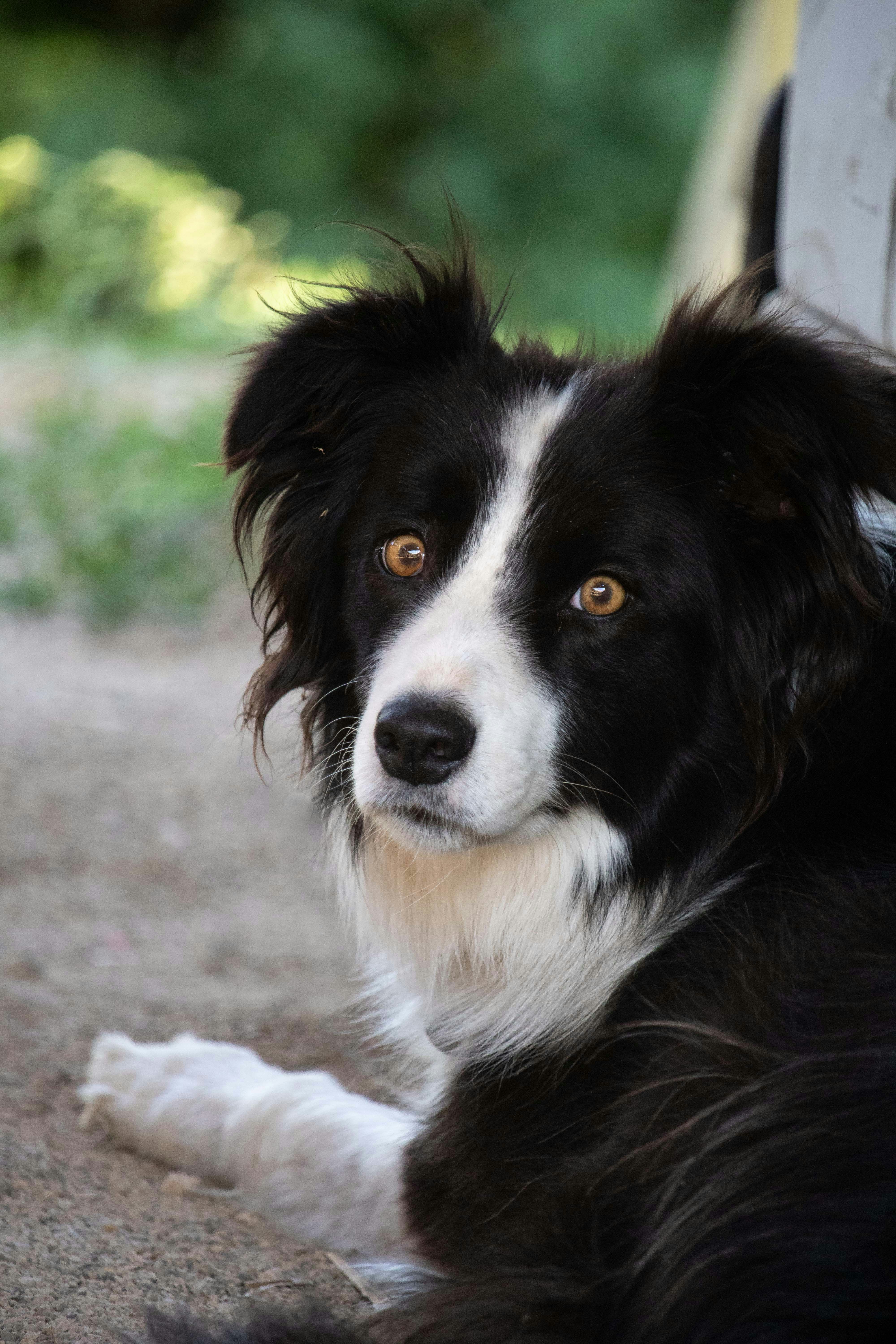 Photo by Angel Balashev with Canon EOS 750D