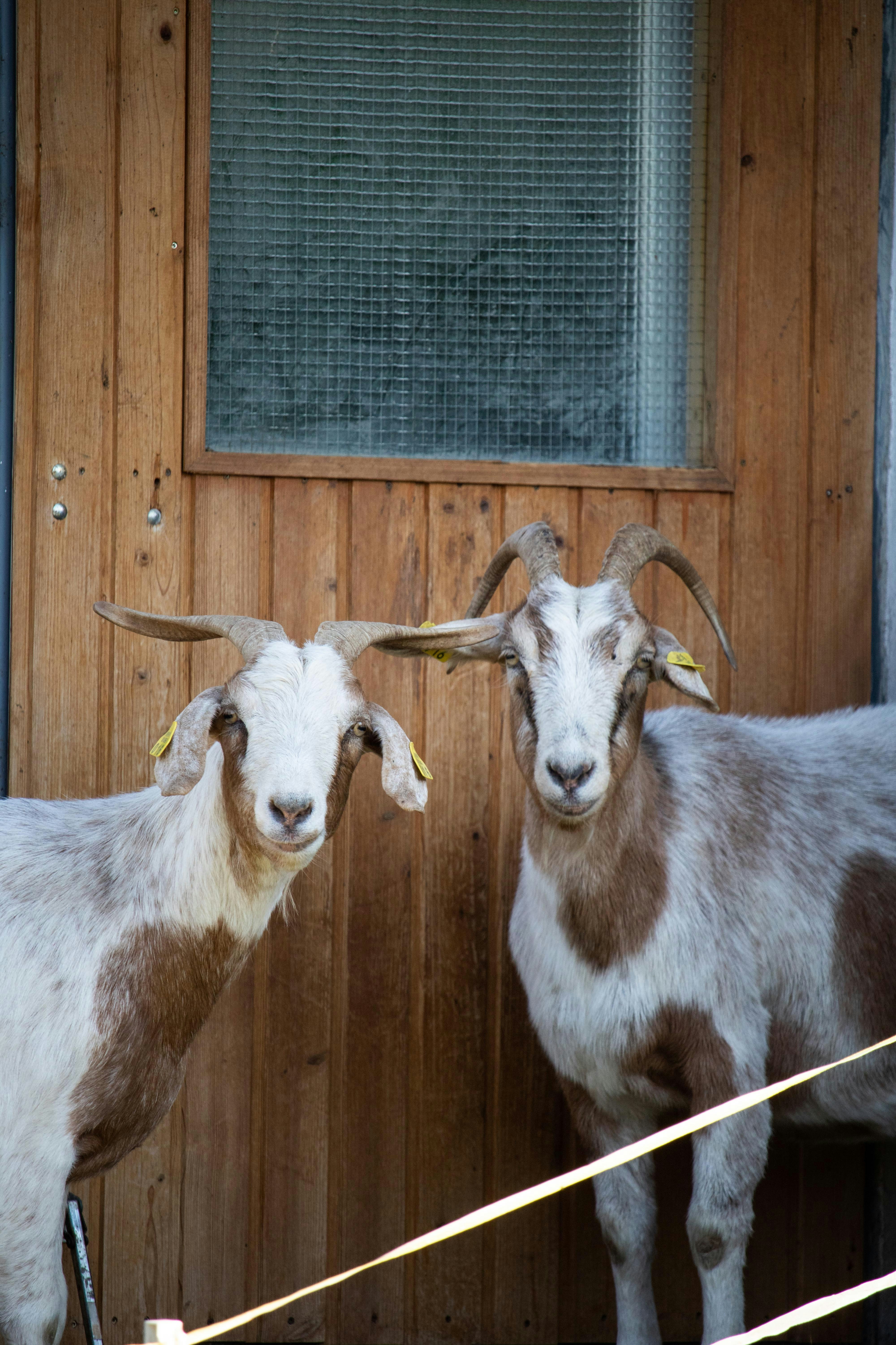 Photo by Angel Balashev with Canon EOS 750D