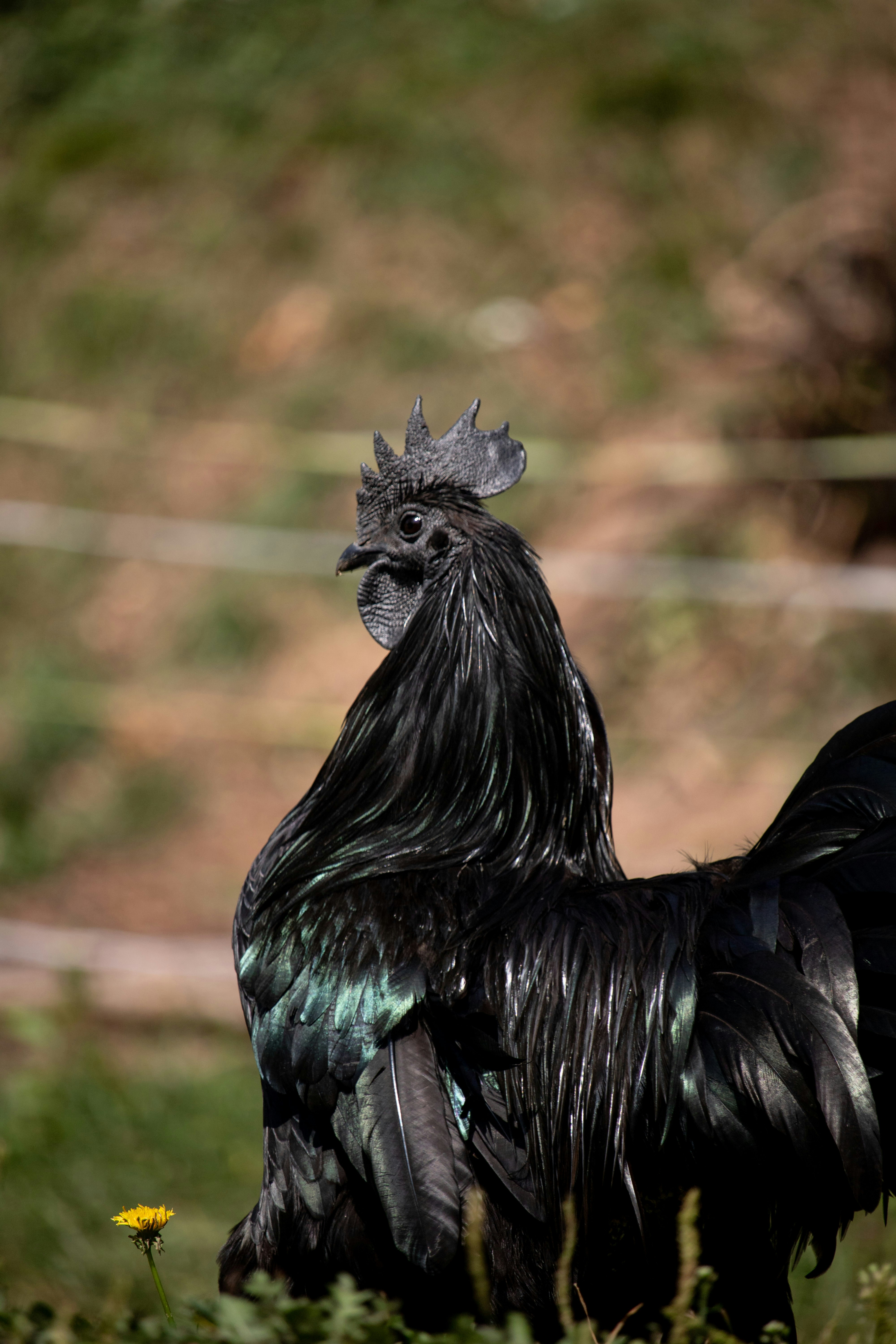 Photo by Angel Balashev with Canon EOS 750D