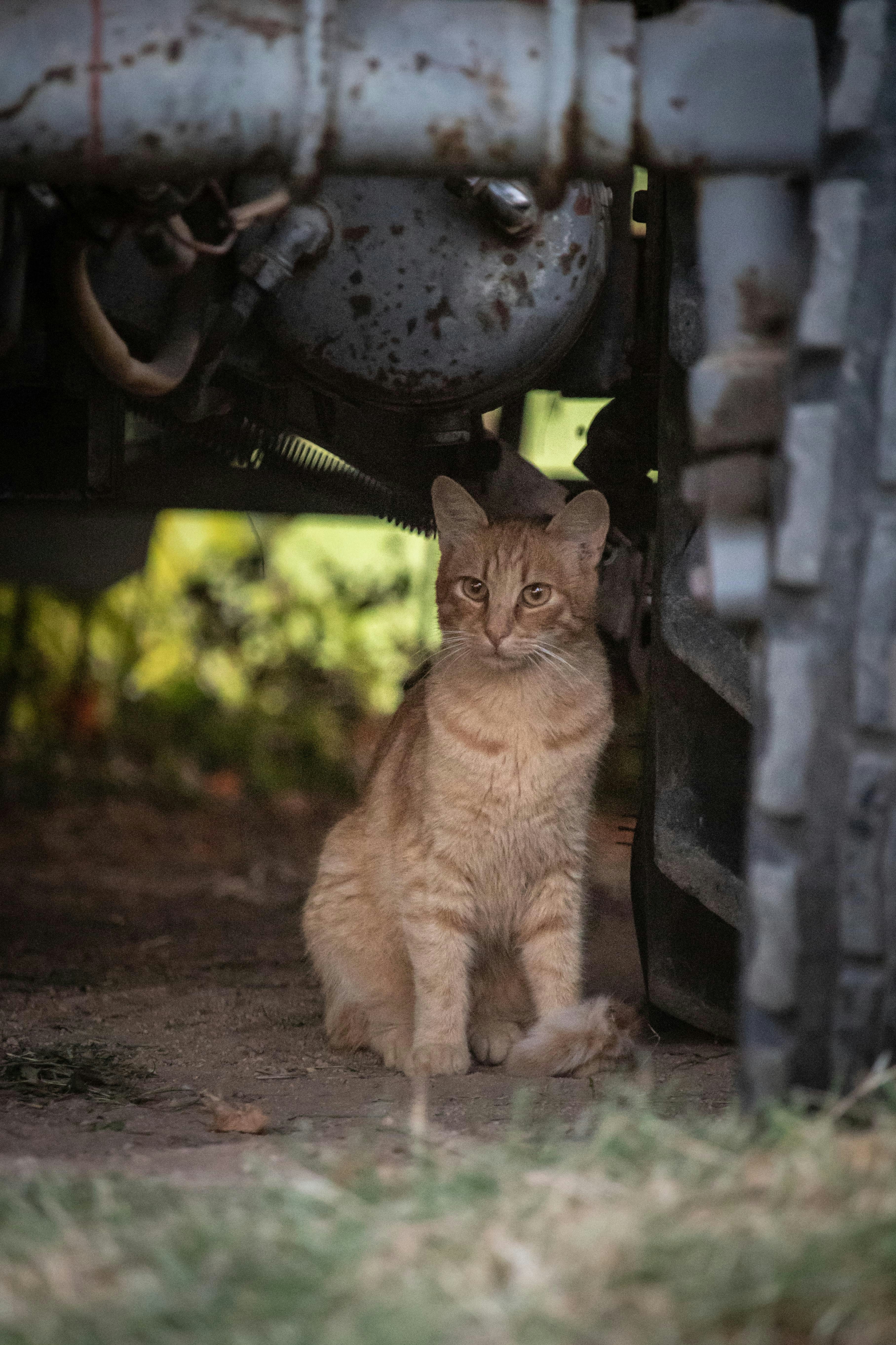 Photo by Angel Balashev with Canon EOS 750D