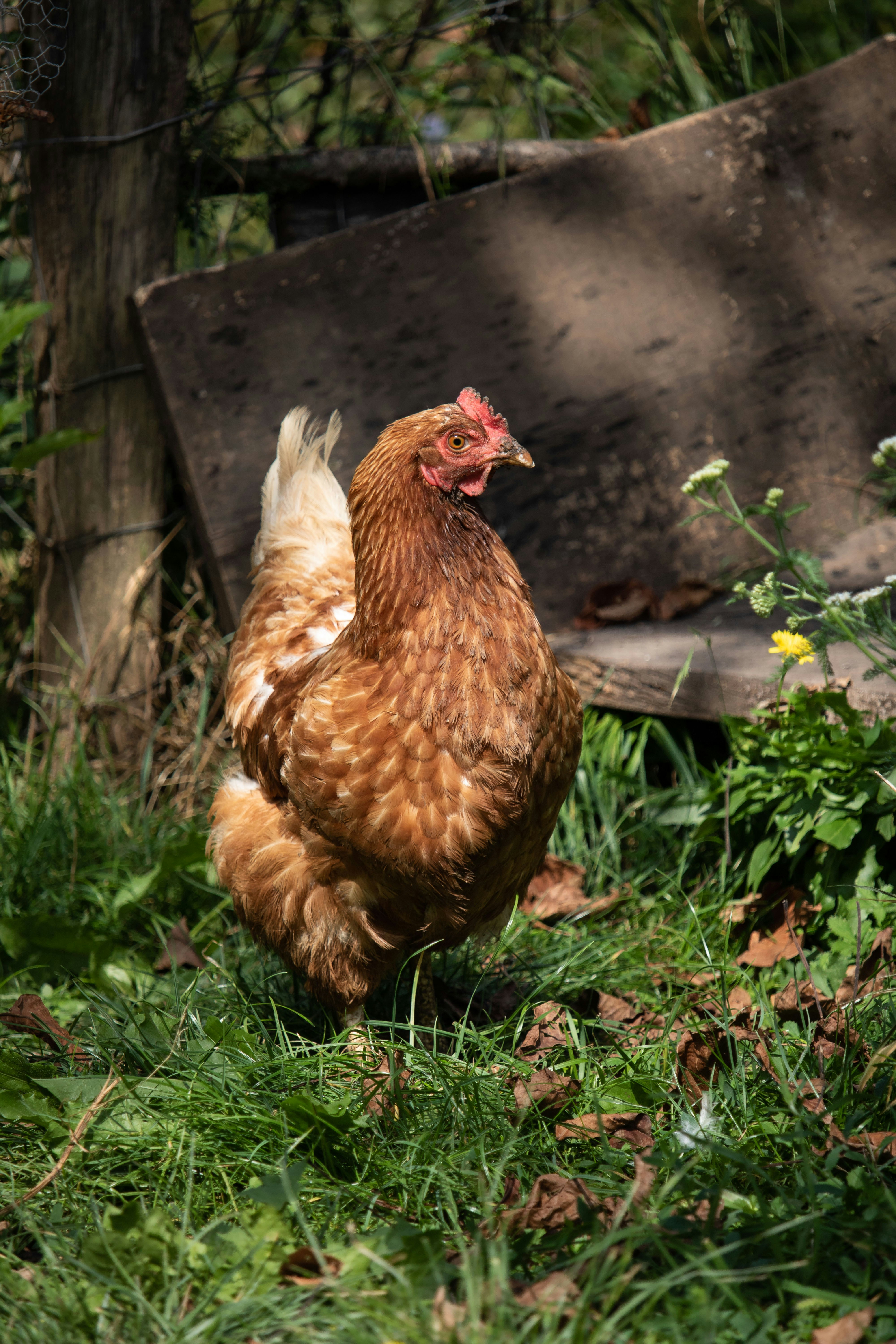 Photo by Angel Balashev with Canon EOS 750D