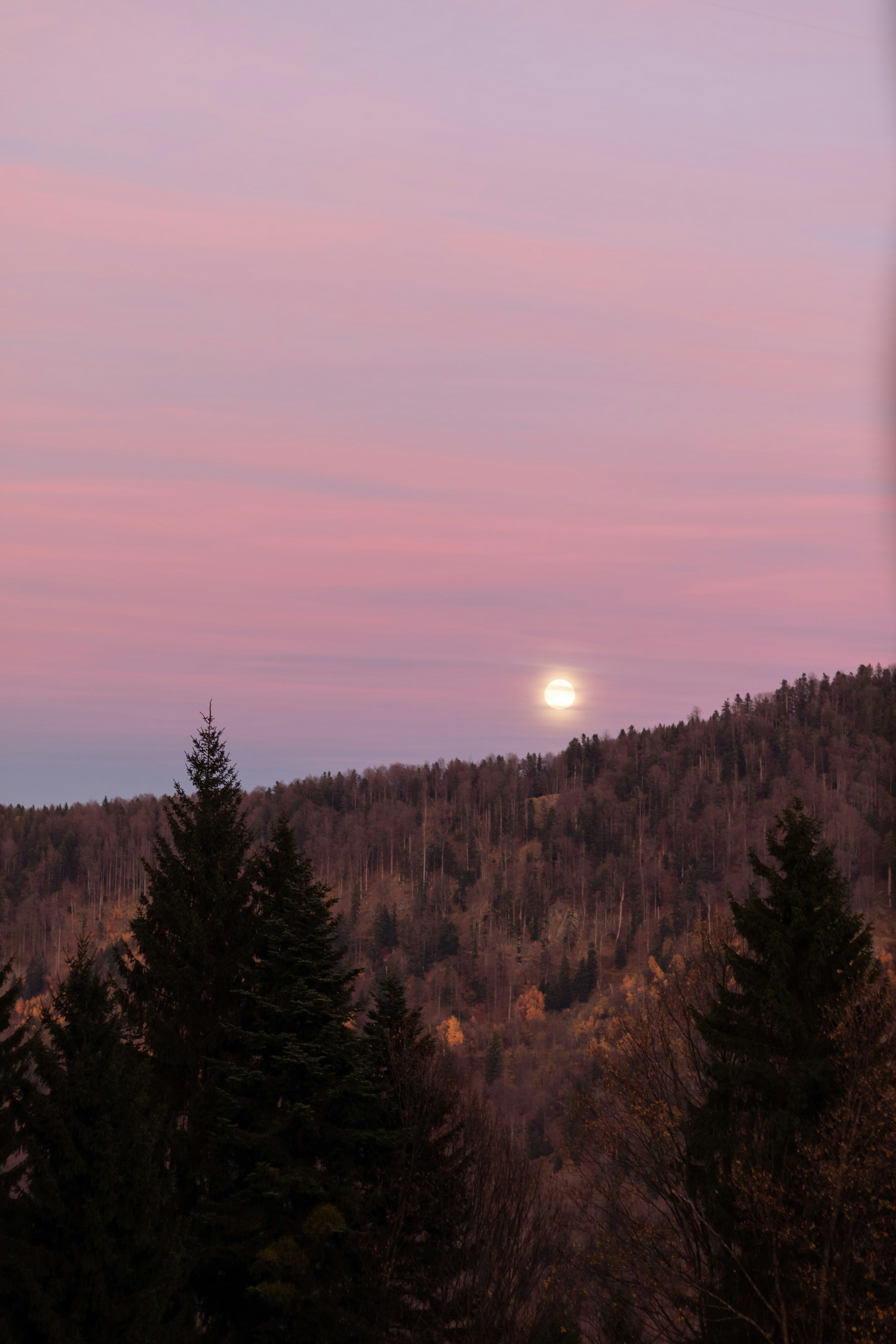 Photo by Angel Balashev with Canon EOS 750D