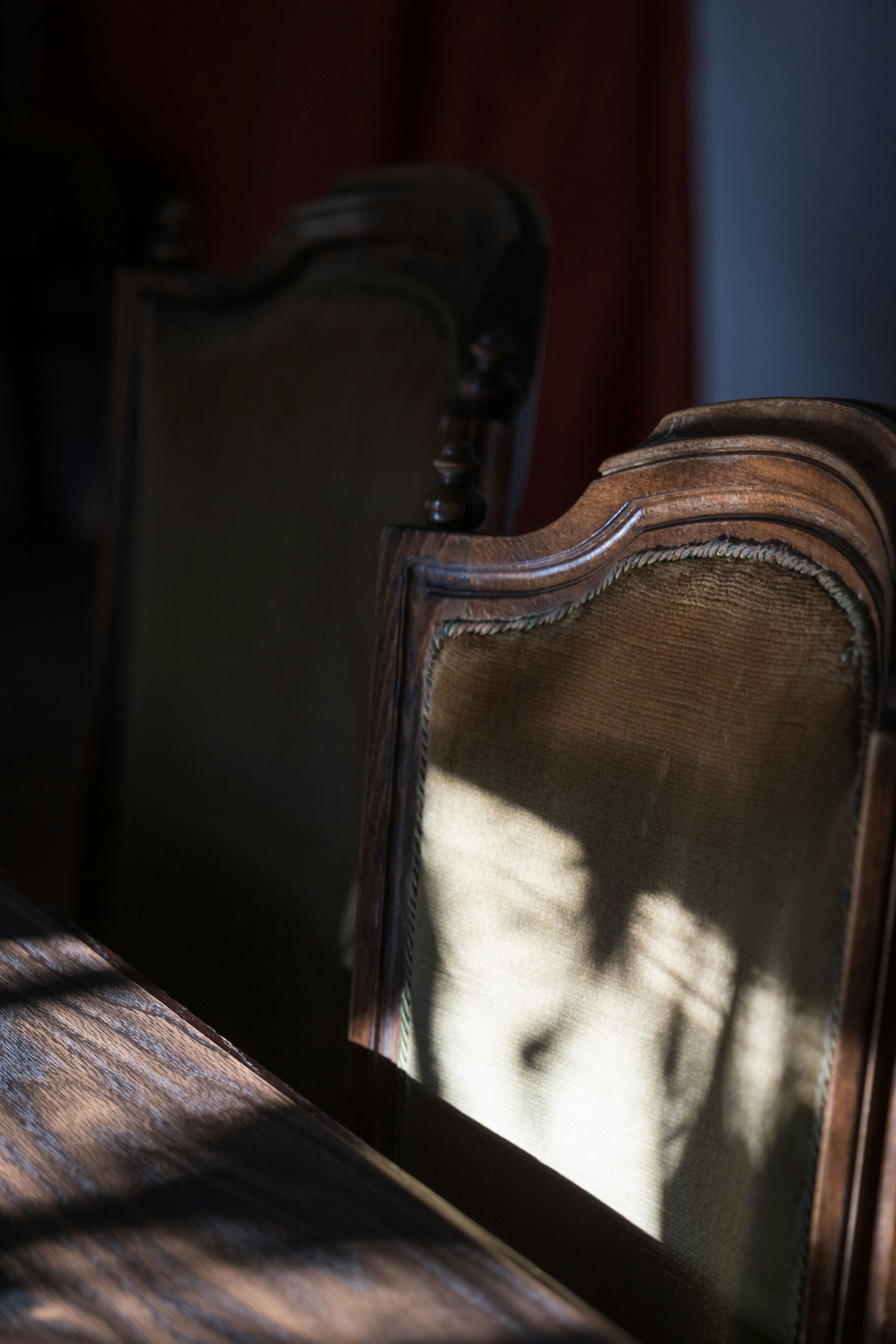 Photo by Angel Balashev with Canon EOS 750D