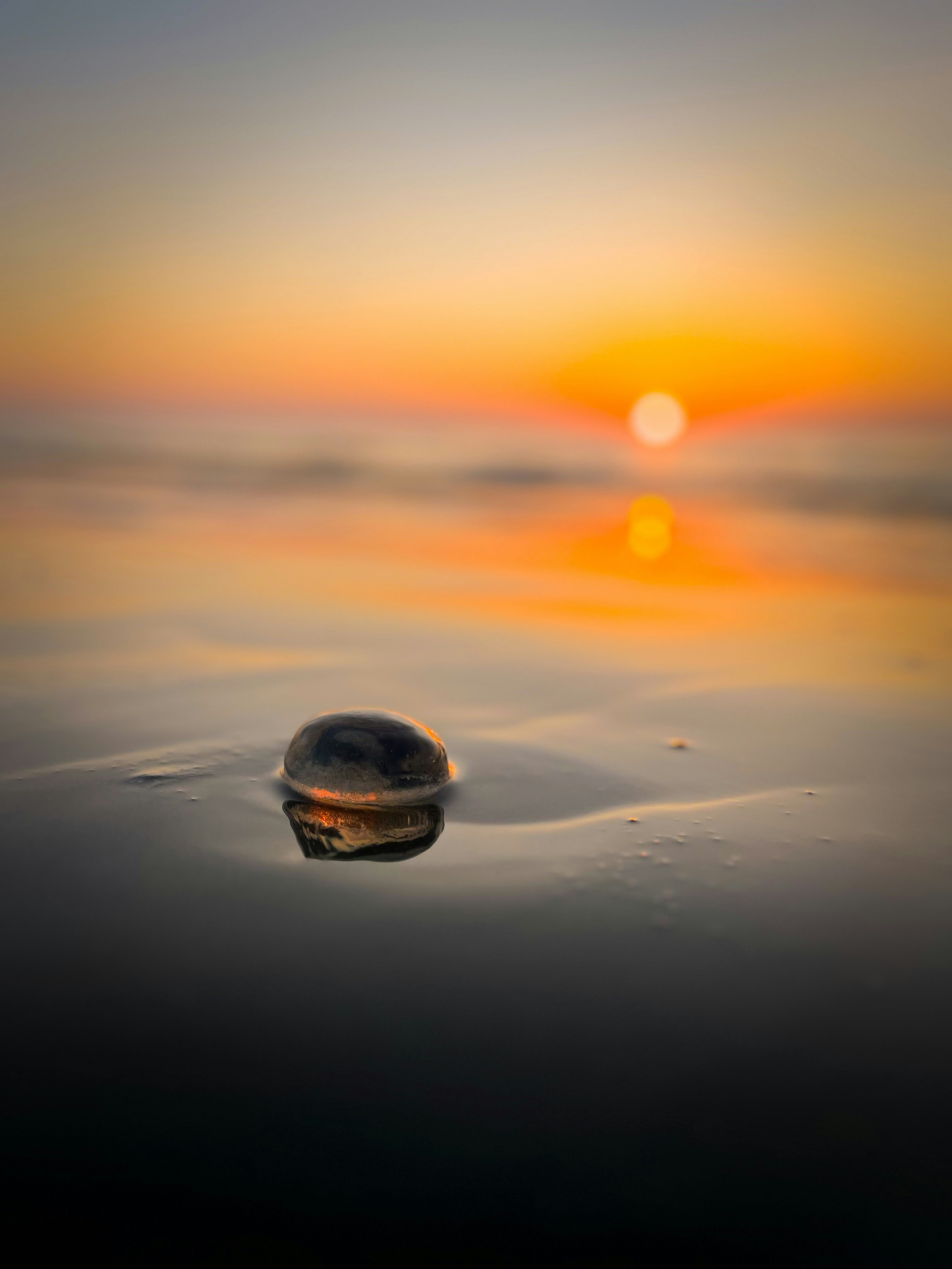 Dusk Glass: A solitary bubble resting on a sunlit tidal mirror