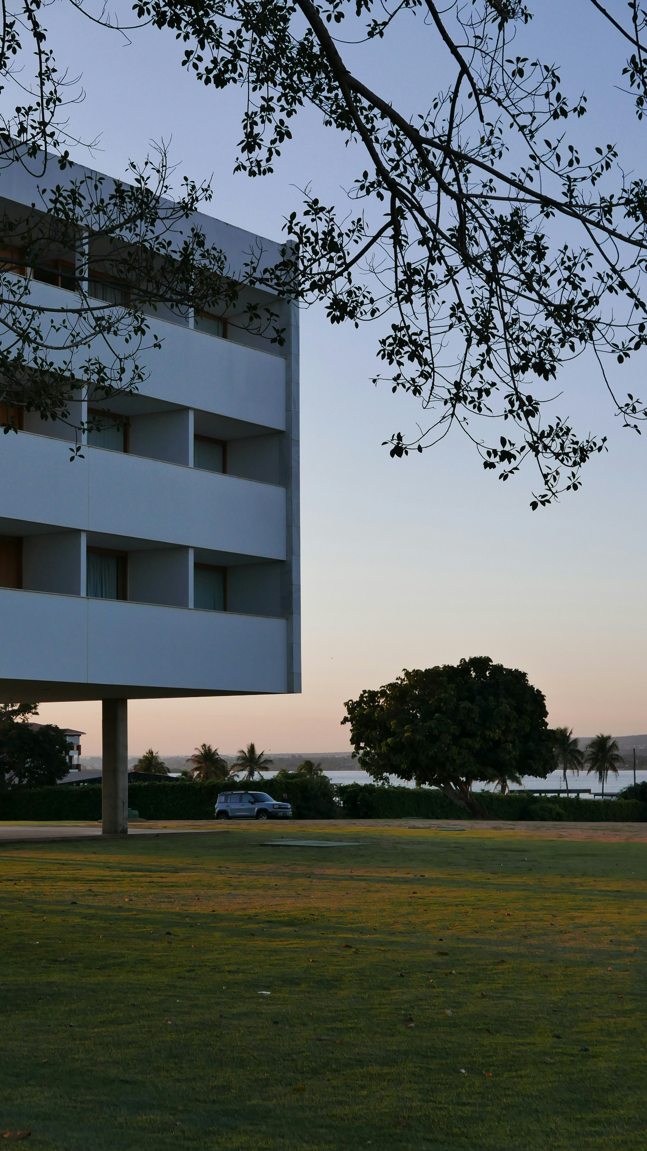 Edge of Dusk: A Modern Block Framed by Coastal Trees