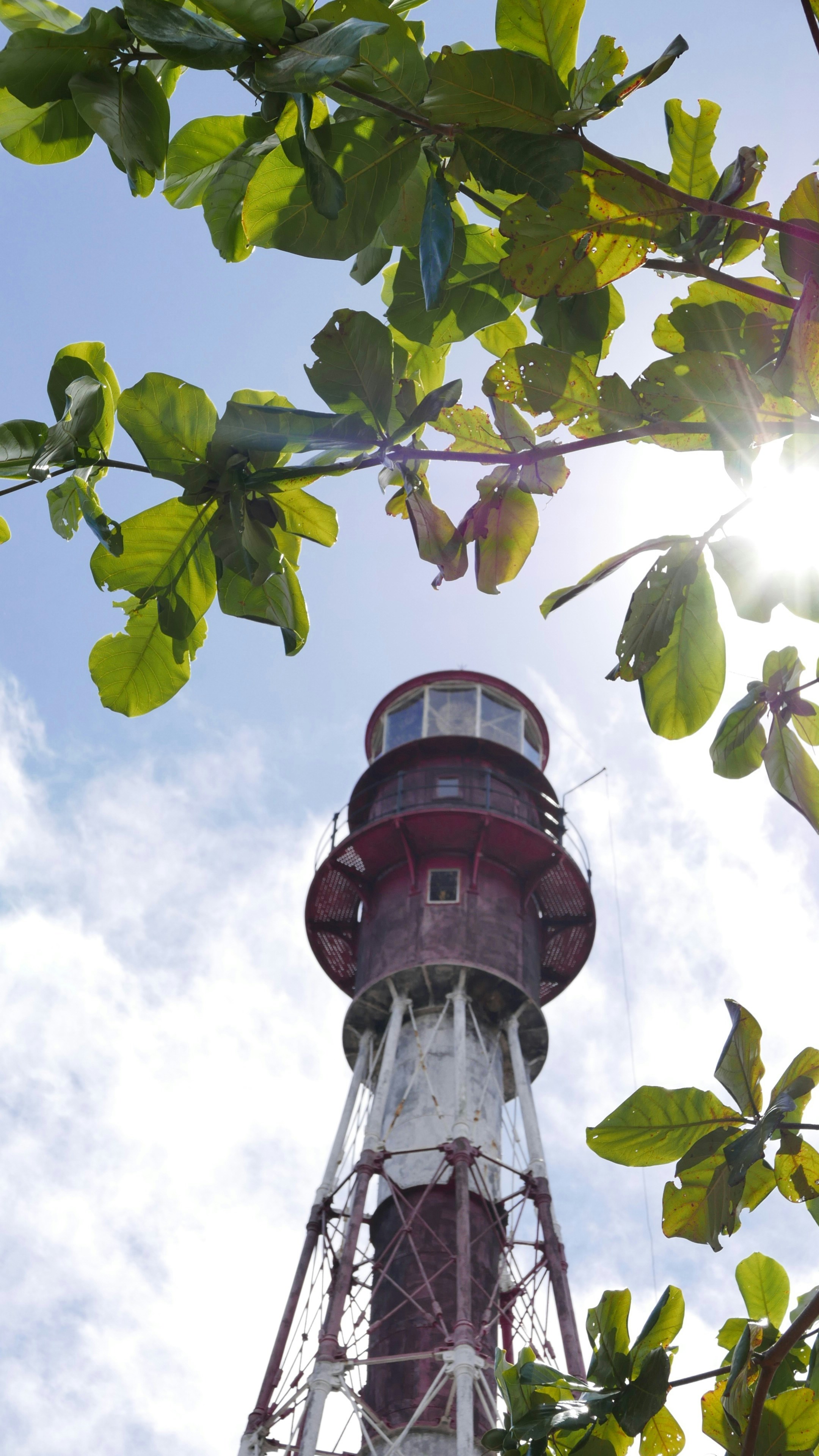Sunlit Sentinel: Red Lighthouse Rising Through Leafy Canopy