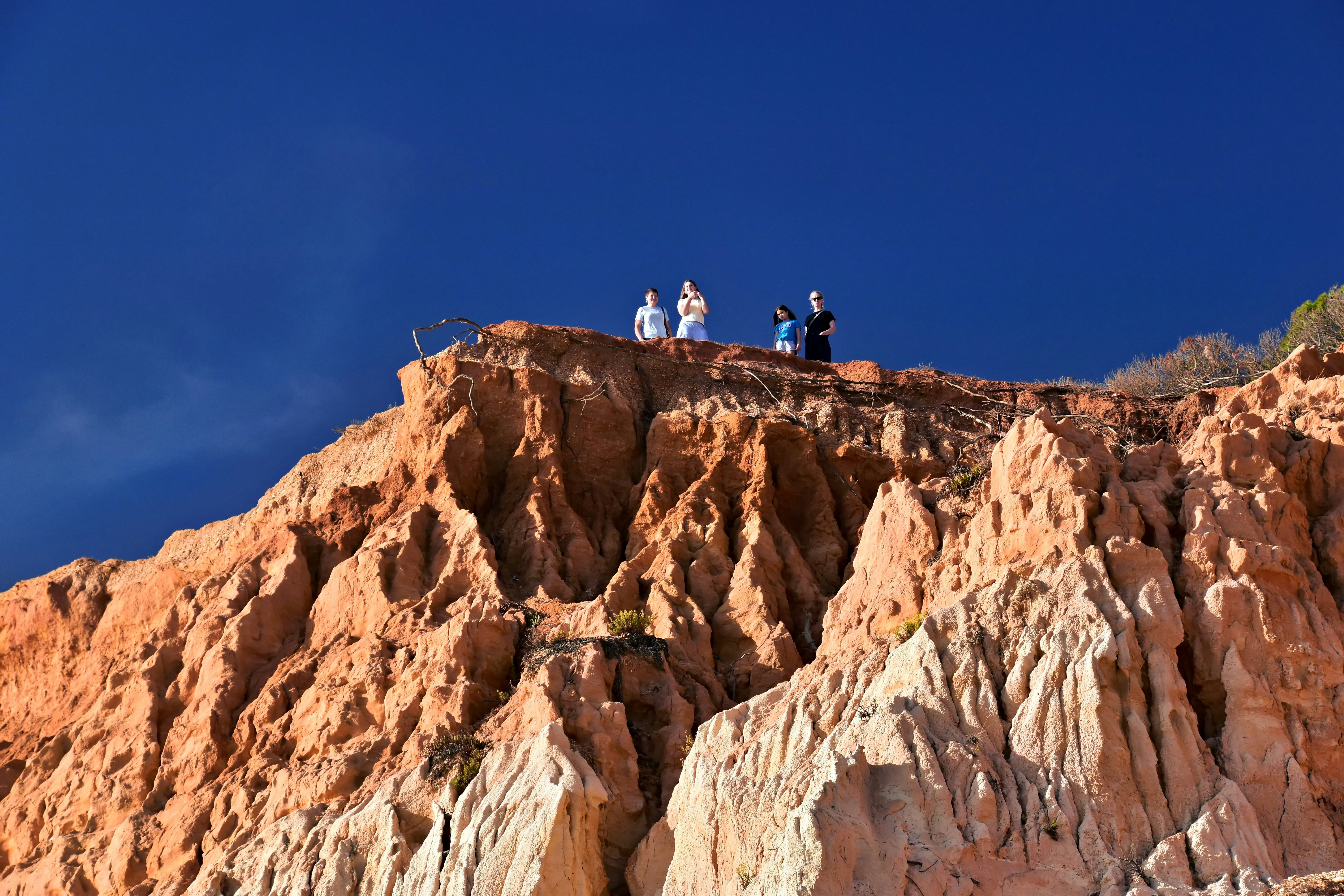 Photo by Jeffrey Eisen with Nikon D5600