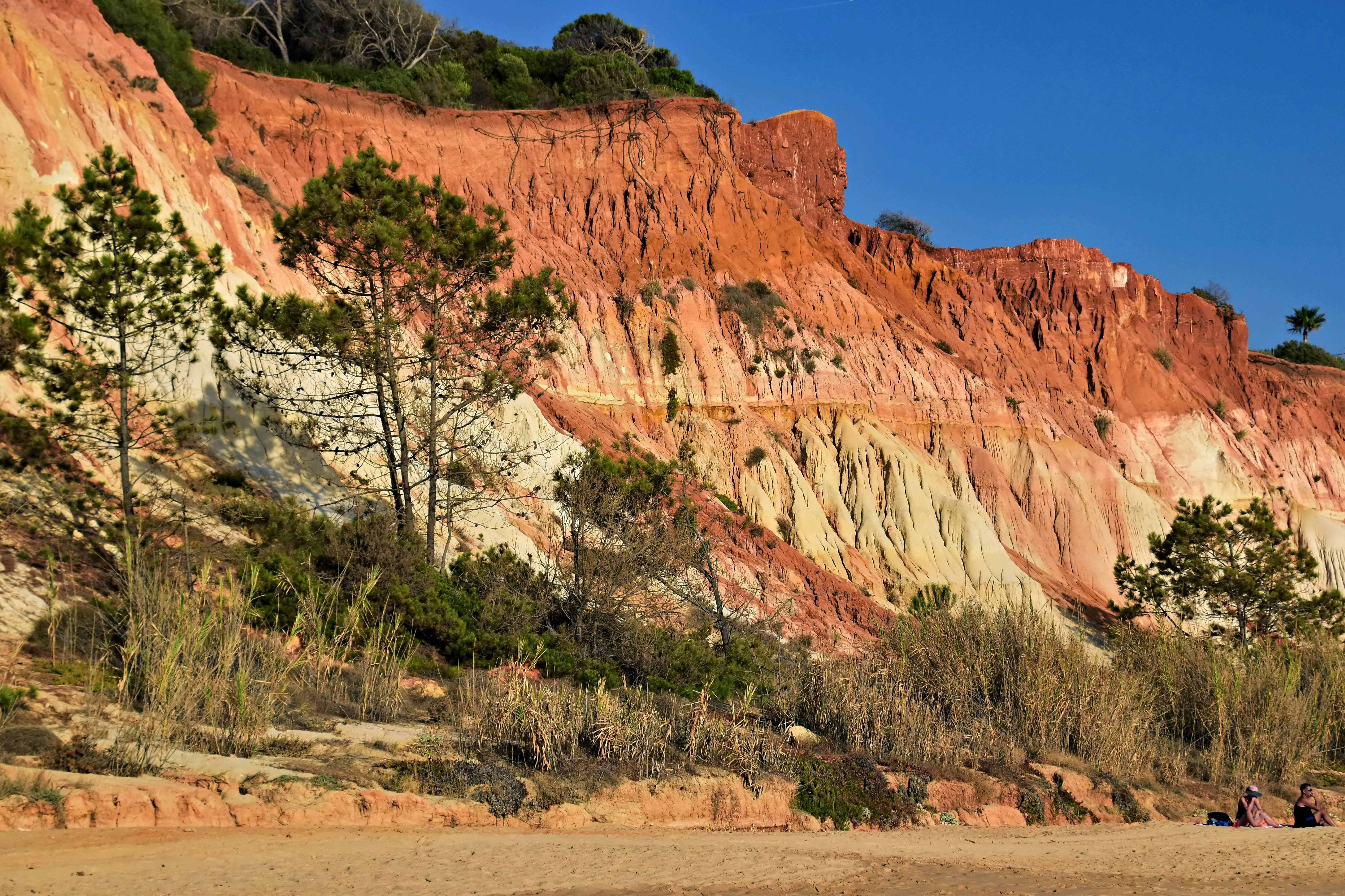 Cliffside Palette: Red Sandstone Strata Against a Coastal Blue
