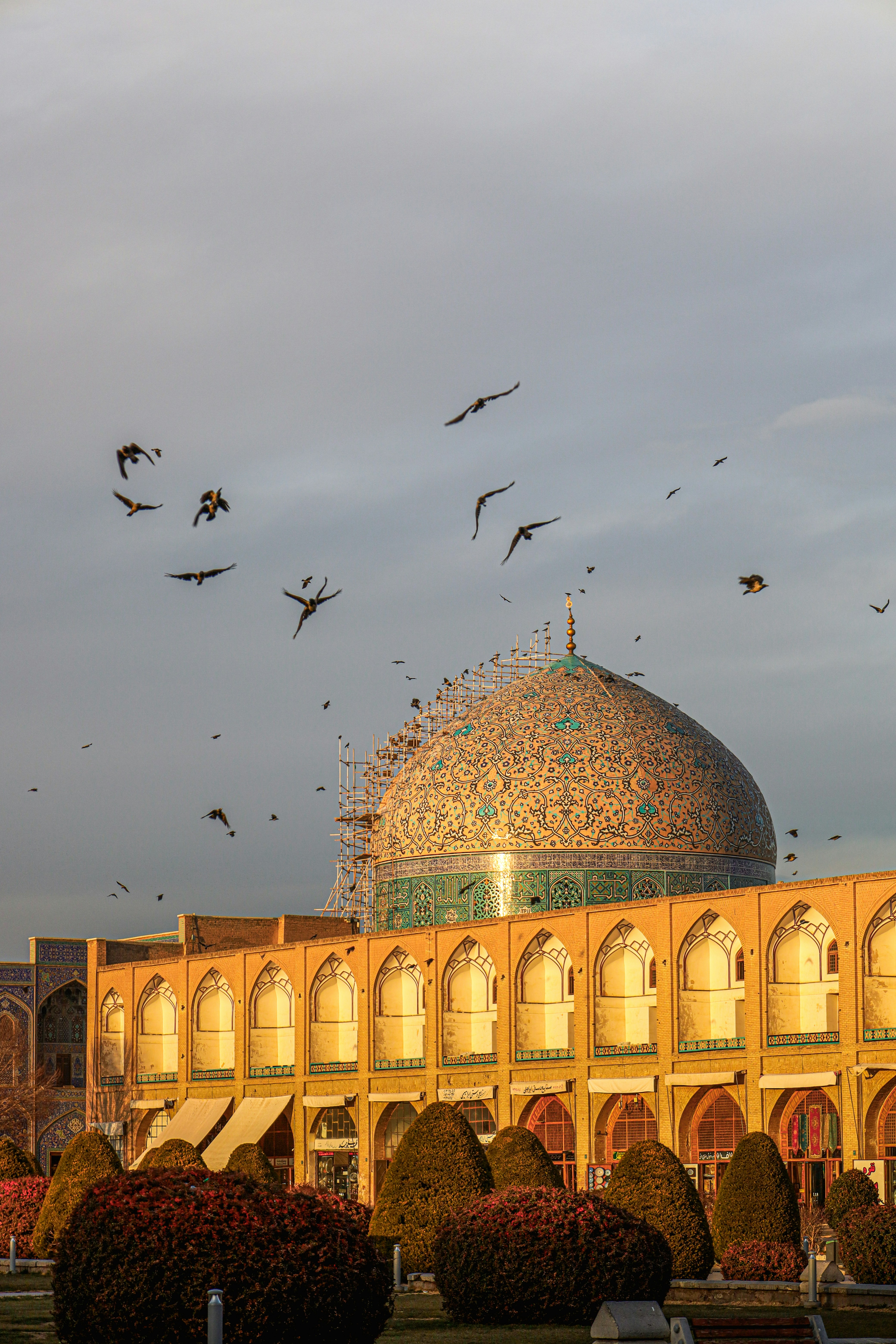 Photo by Sana Karimi with Canon EOS RP