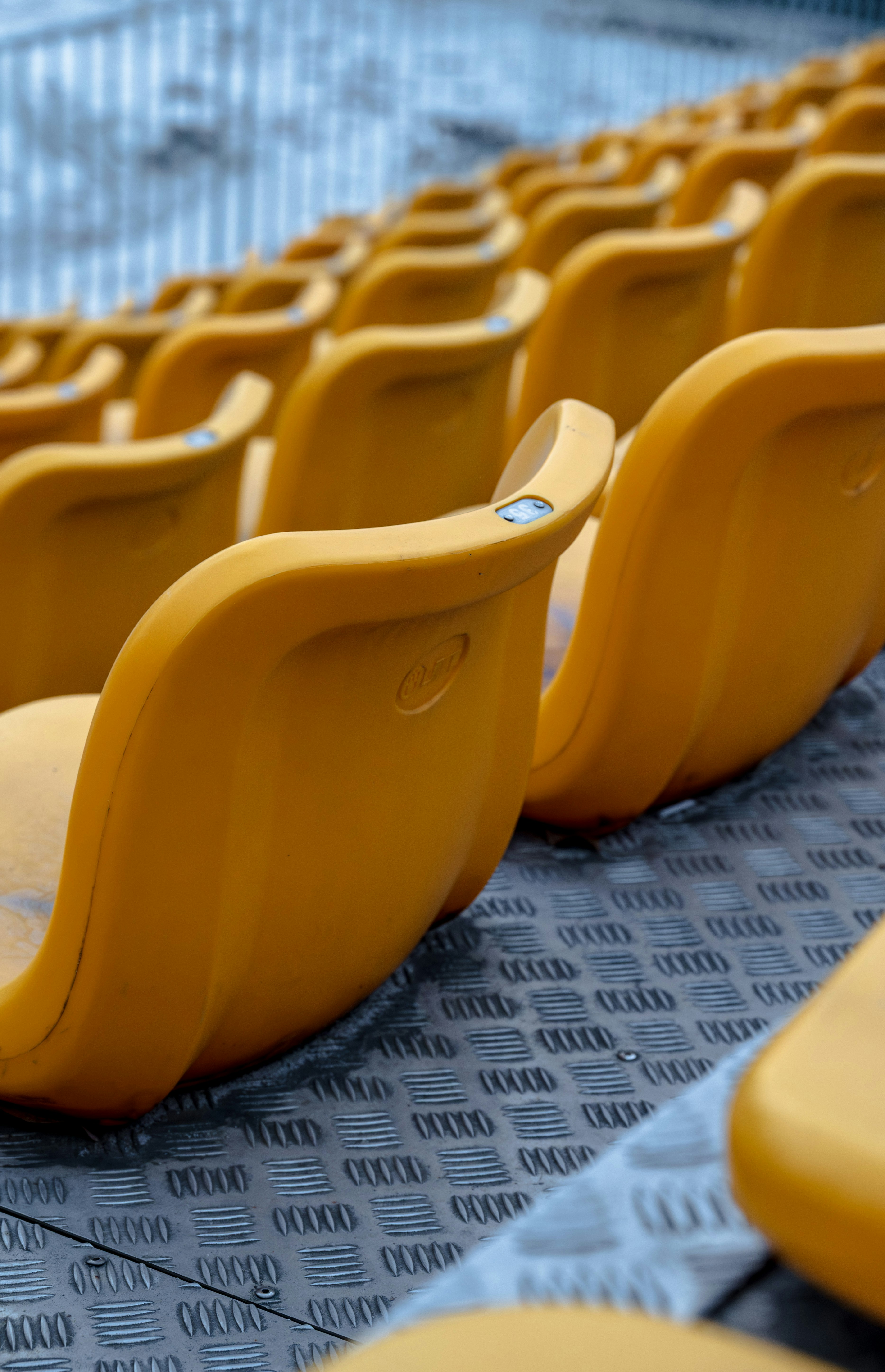 Photo by Kilian Murphy with Nikon Z6 II