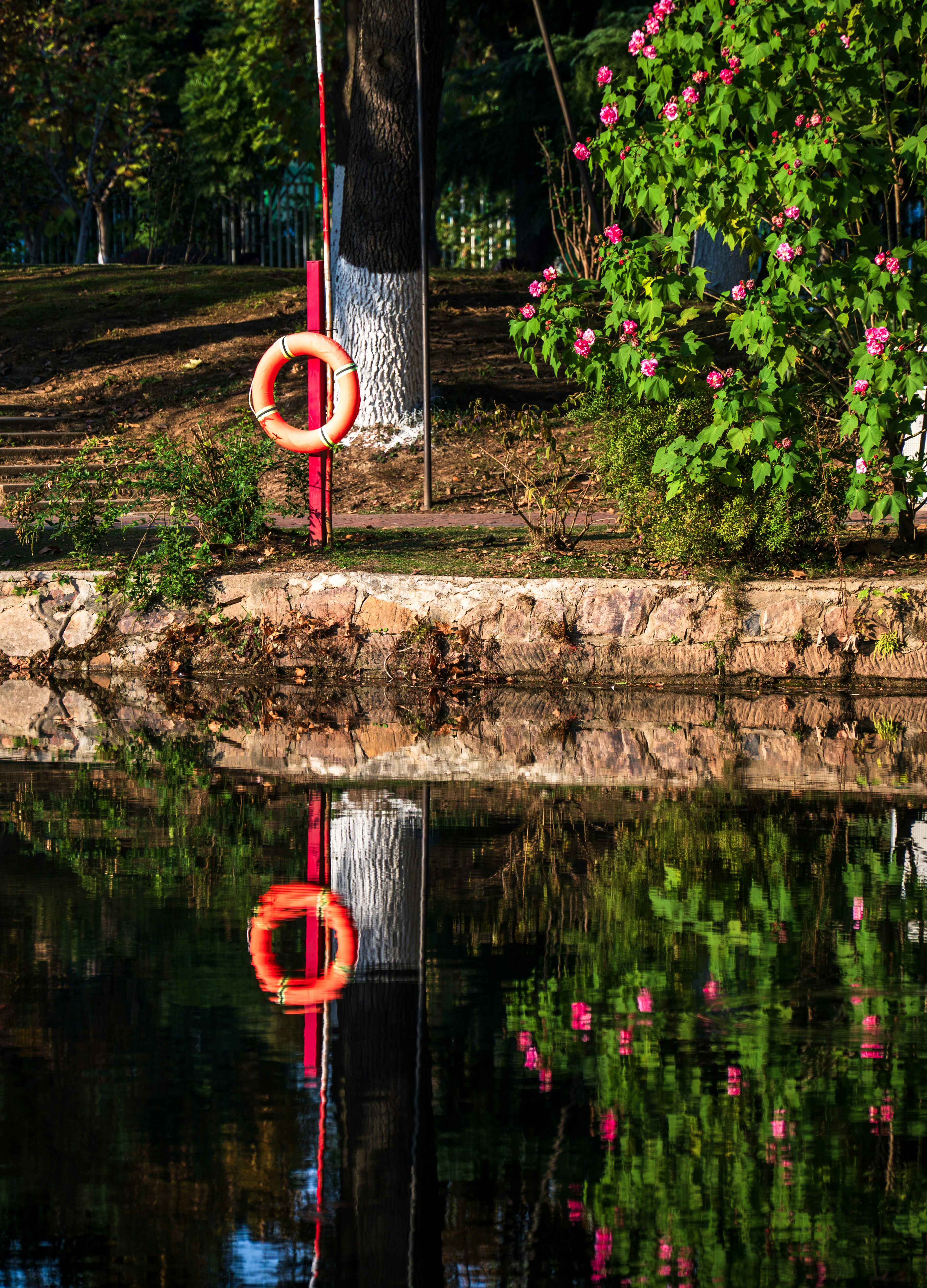 Scarlet Lifebuoy by Riverside: Reflections in a Quiet Park