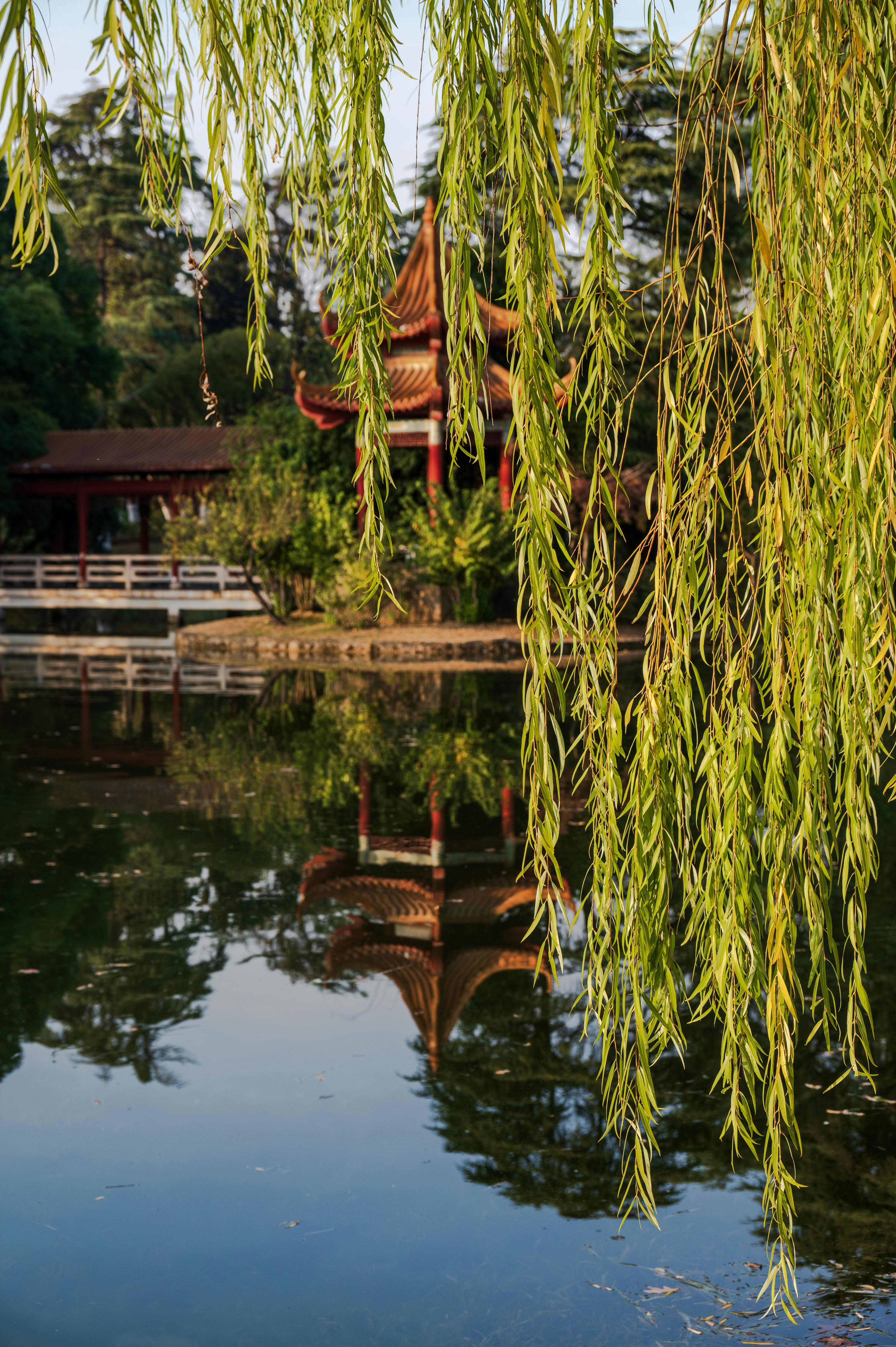 Photo by Kilian Murphy with Nikon Z6 II