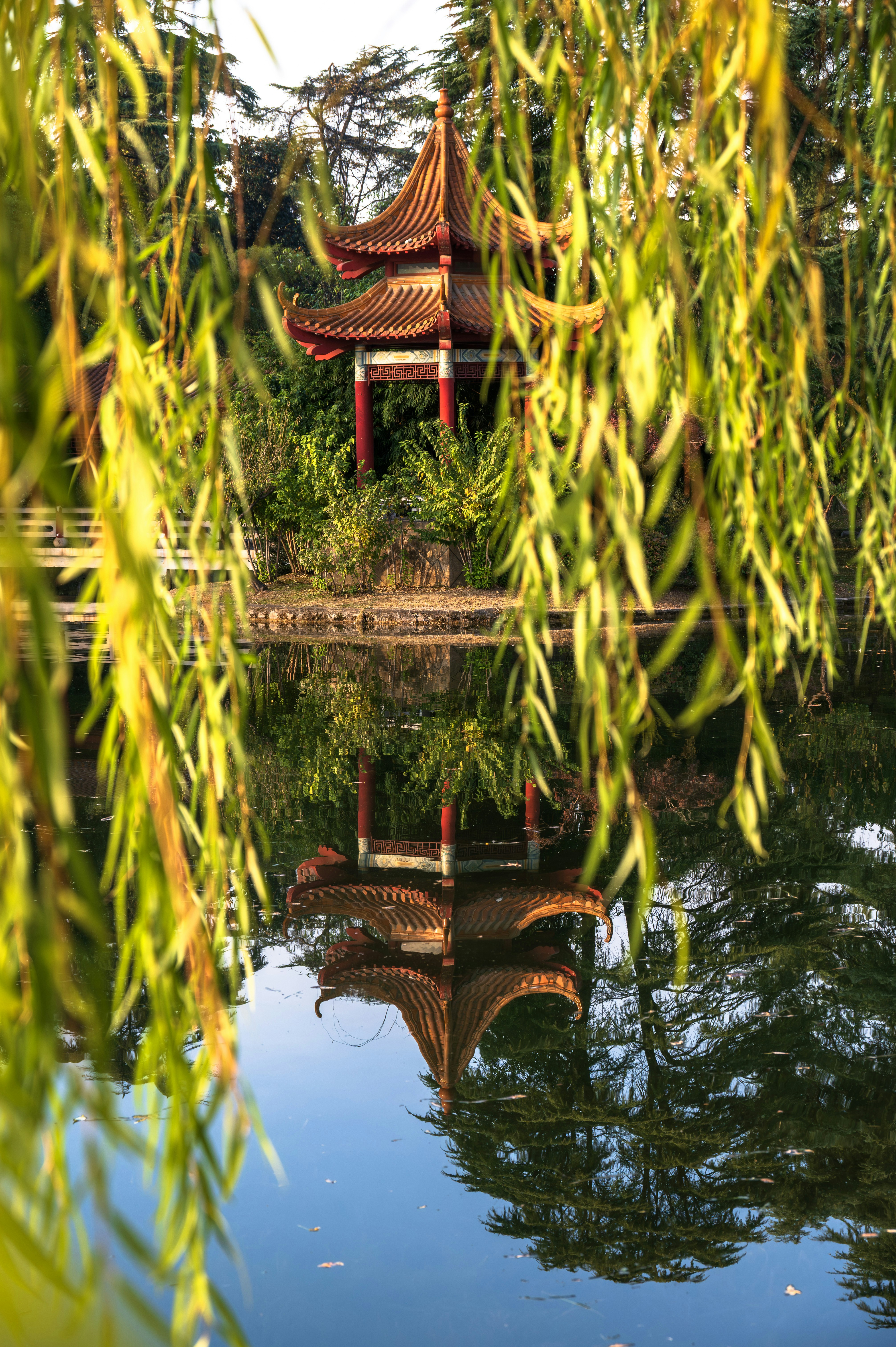 Willow-Framed Pavilion and Its Mirror in Quiet Waters