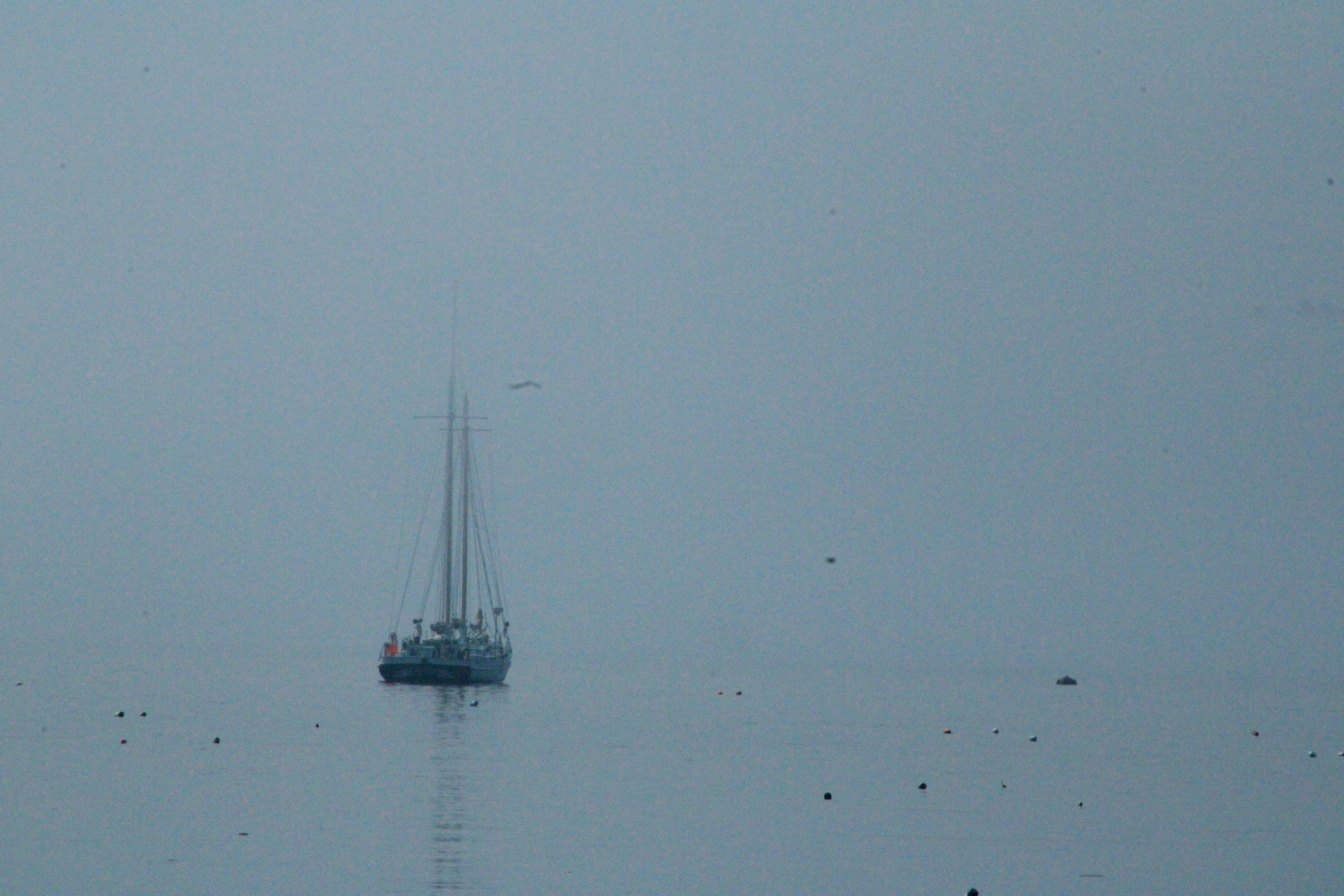 Photo by addyson saggio with Canon EOS 2000D