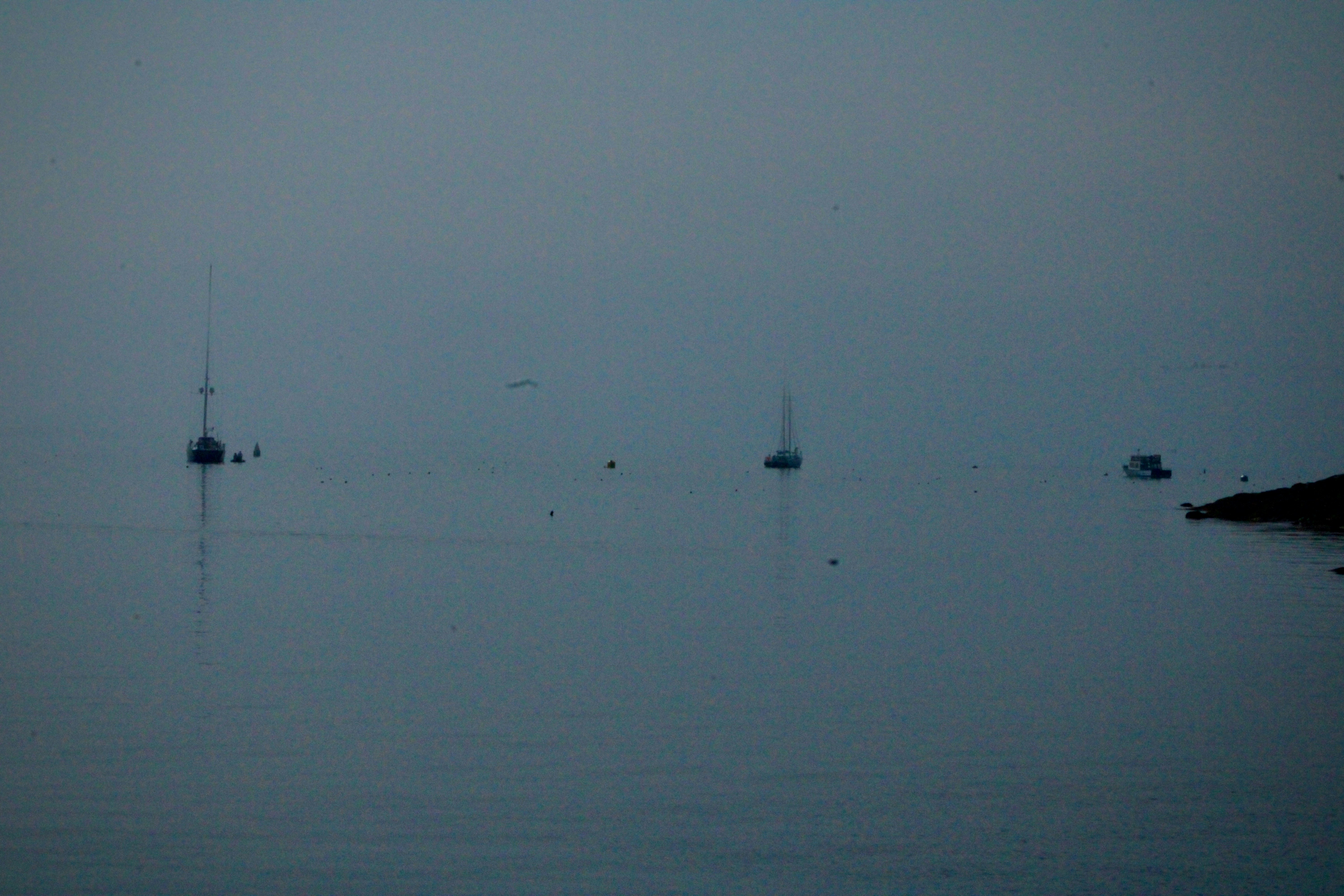 Photo by addyson saggio with Canon EOS 2000D