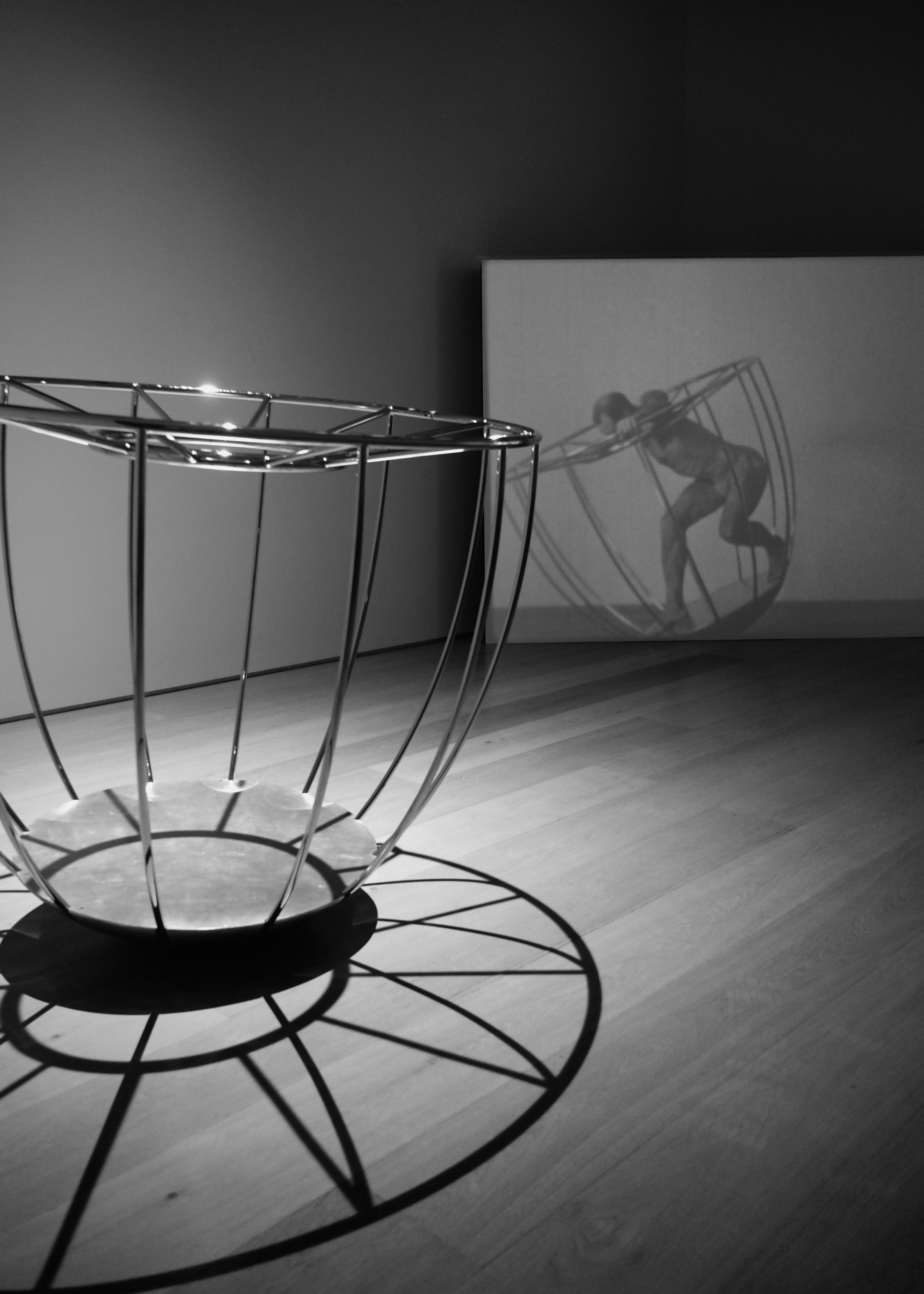 Shadow Geometry in a Quiet Studio: The Wire Basket