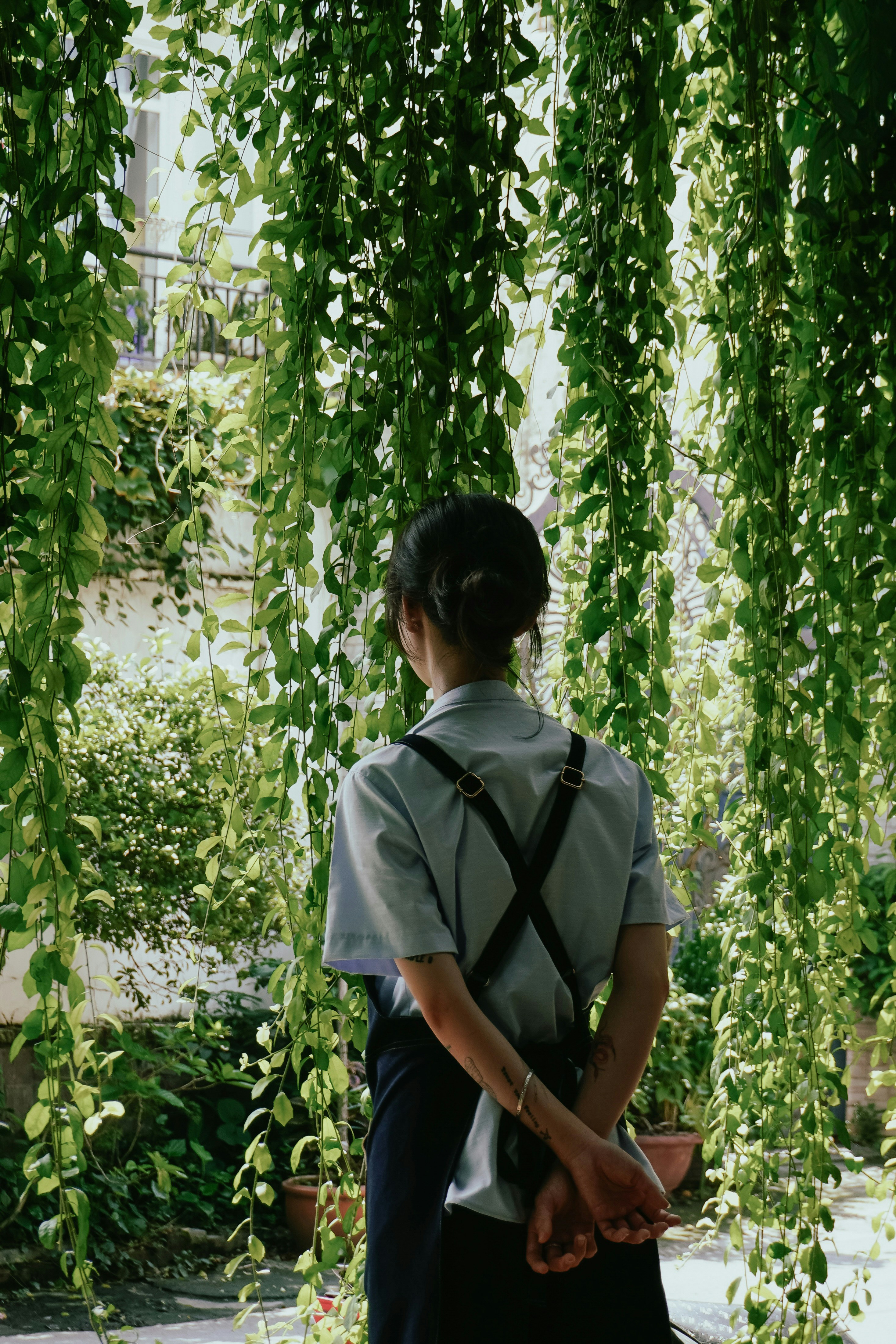 Back View in a Curtain of Vines: A Quiet Portrait in Green