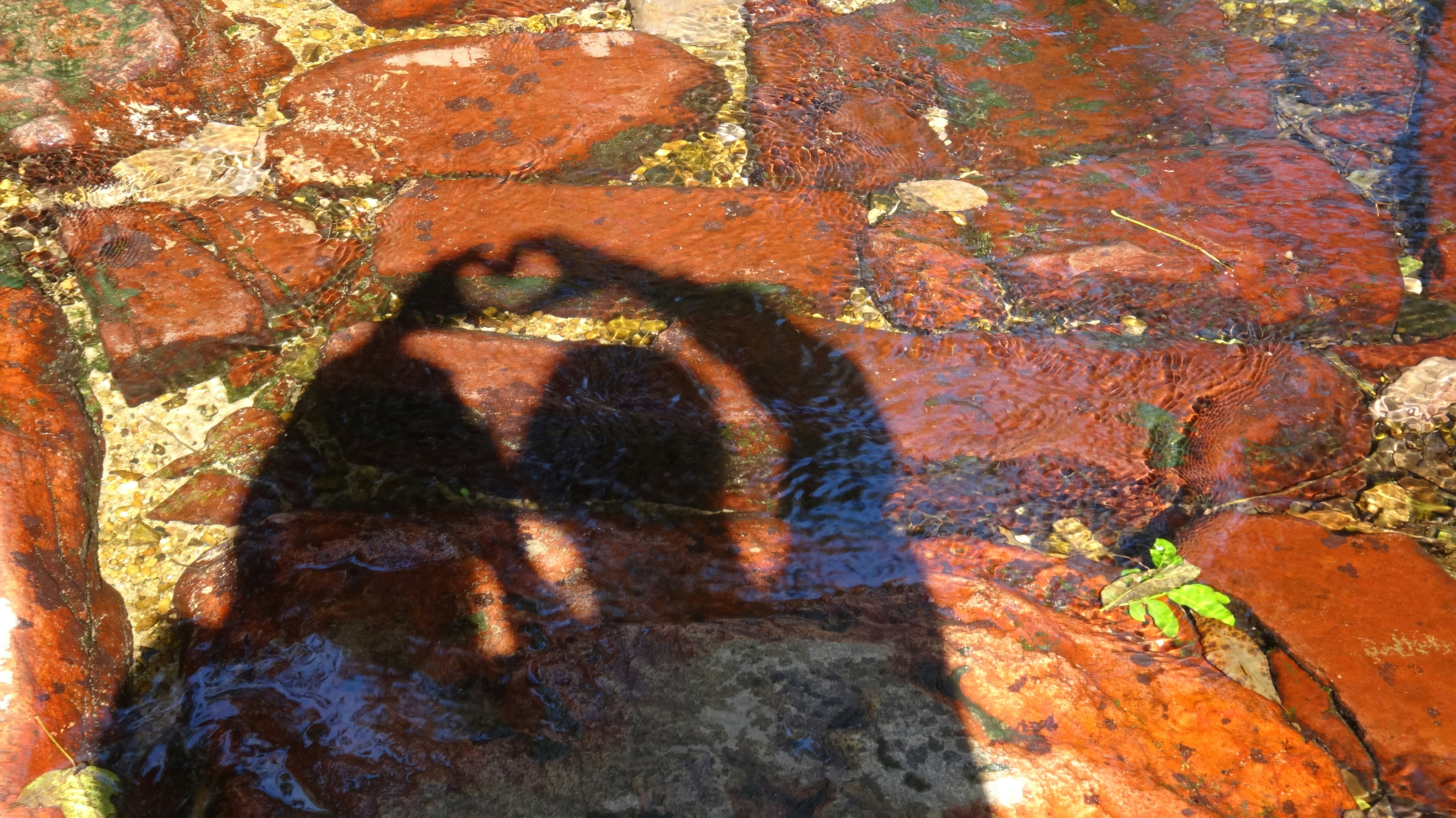 Photo by feifei liang with Sony Cyber-shot WX300