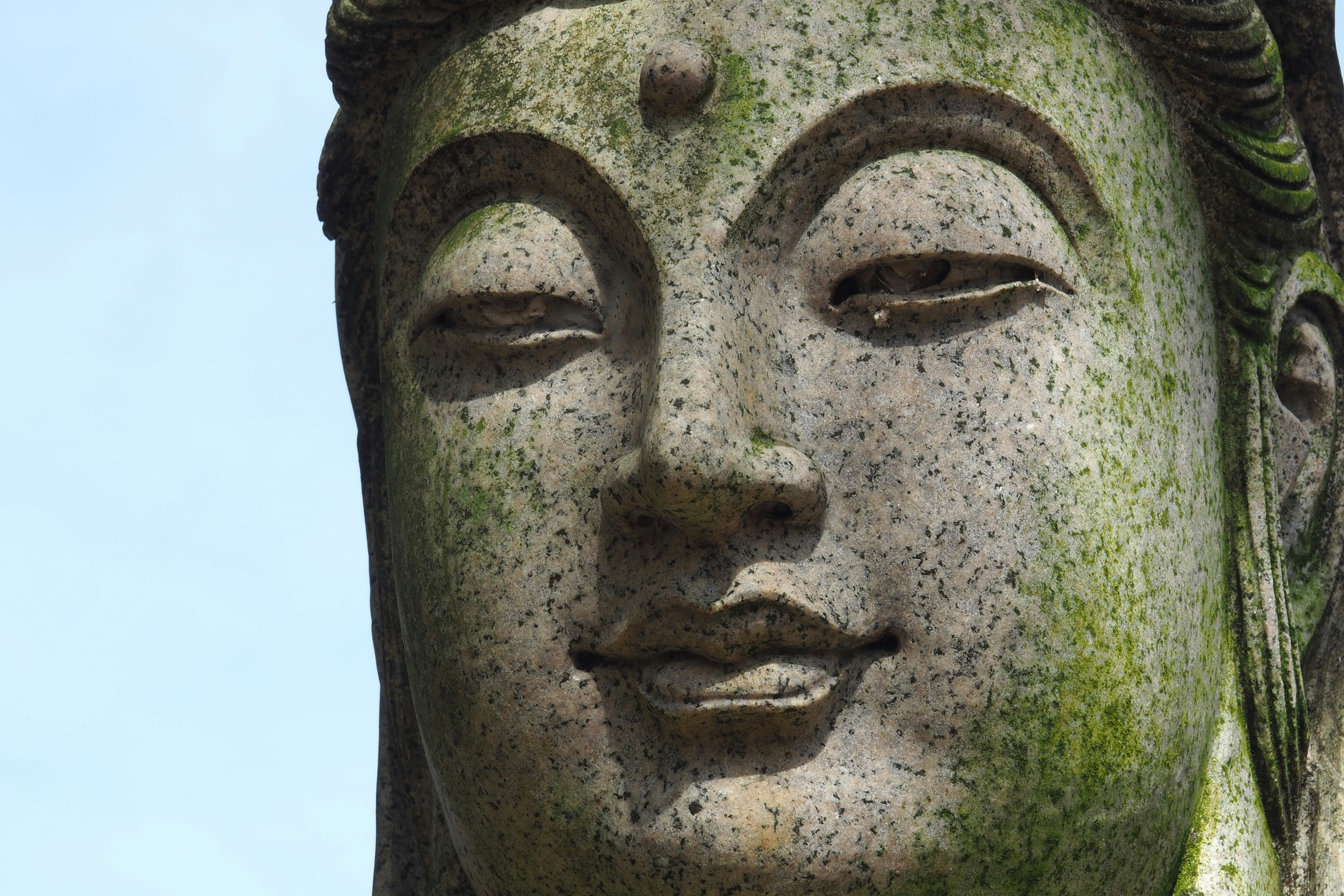 Photo by Jonathan Frank with Olympus OM-D E-M10 Mark II