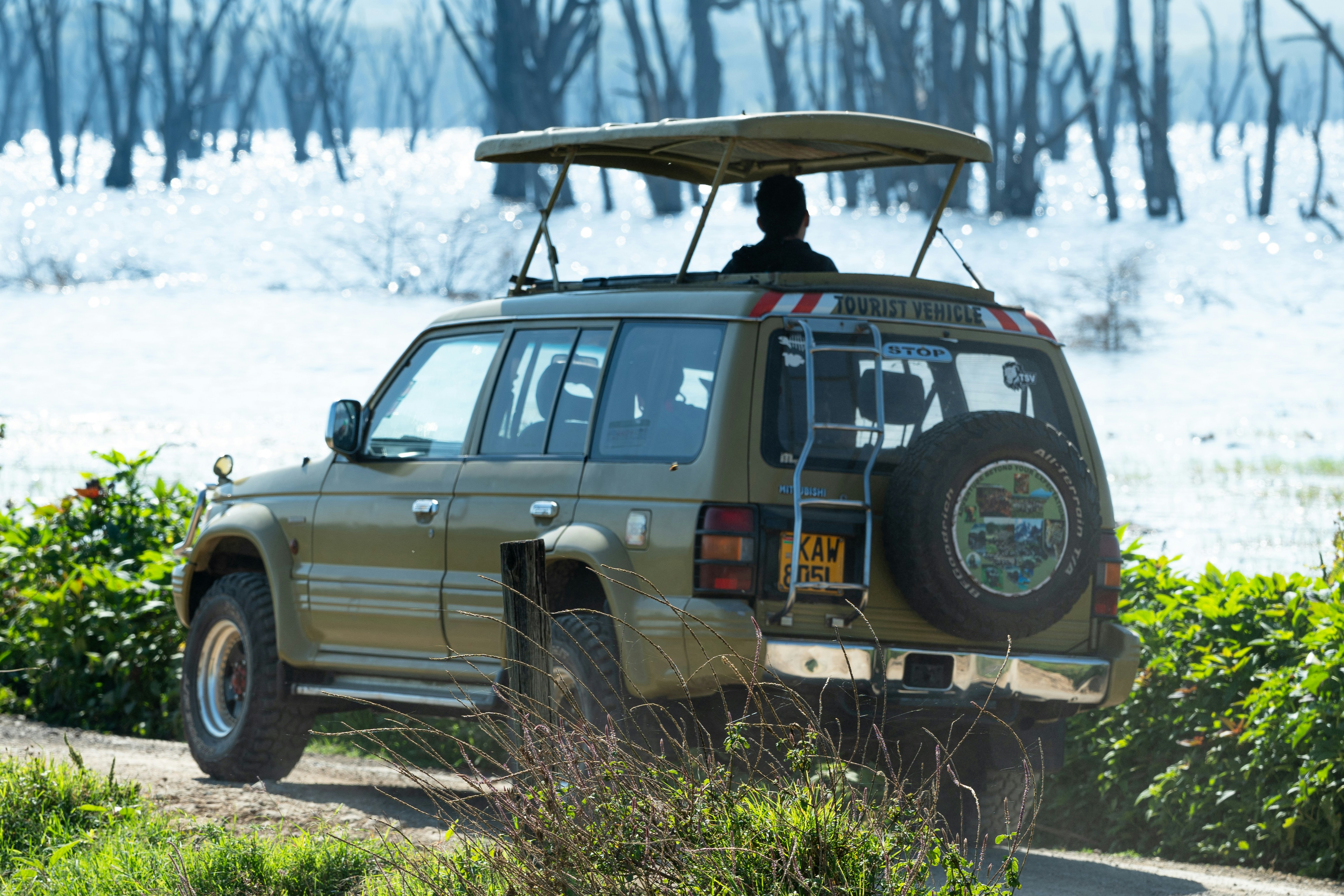 Safari jeep with open roof driving through brush