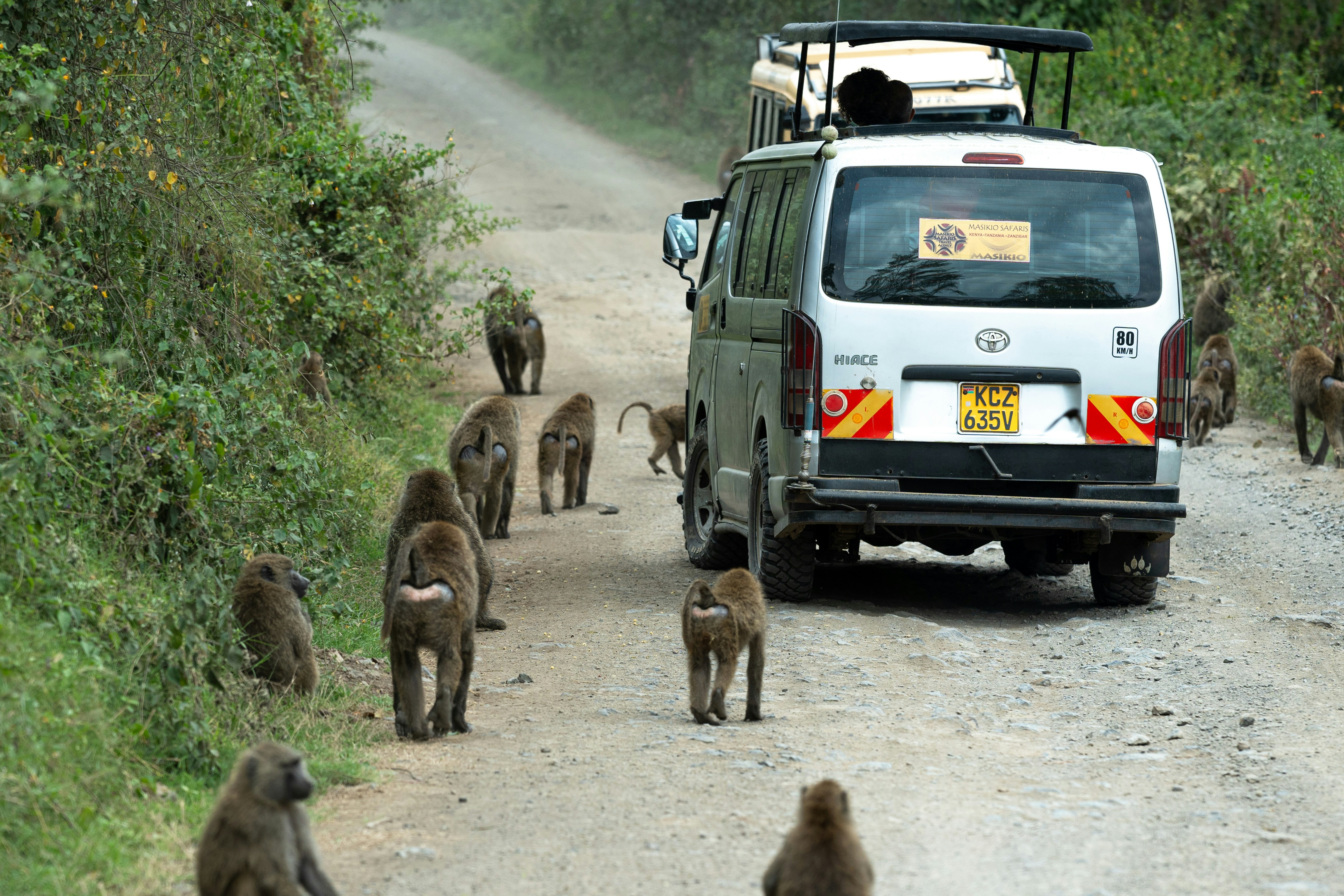 Photo by Daniel Nyoka with Sony Alpha 7C II