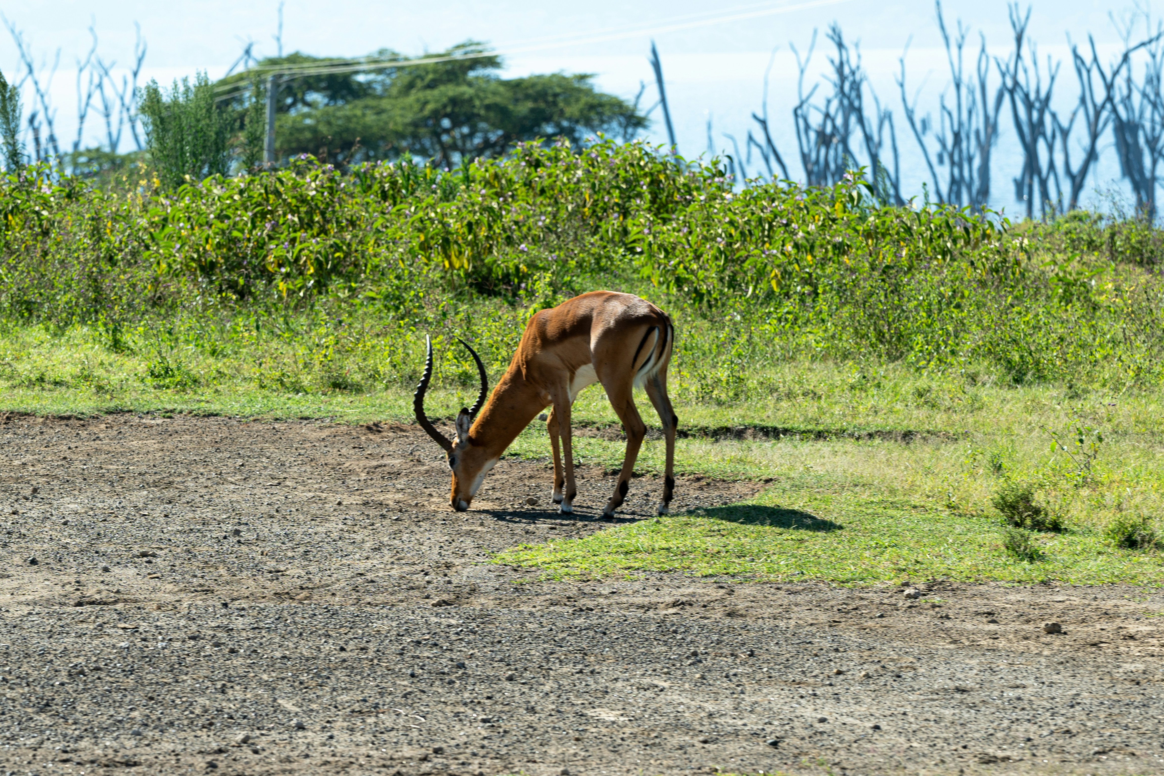 Photo by Daniel Nyoka with Sony Alpha 7C II