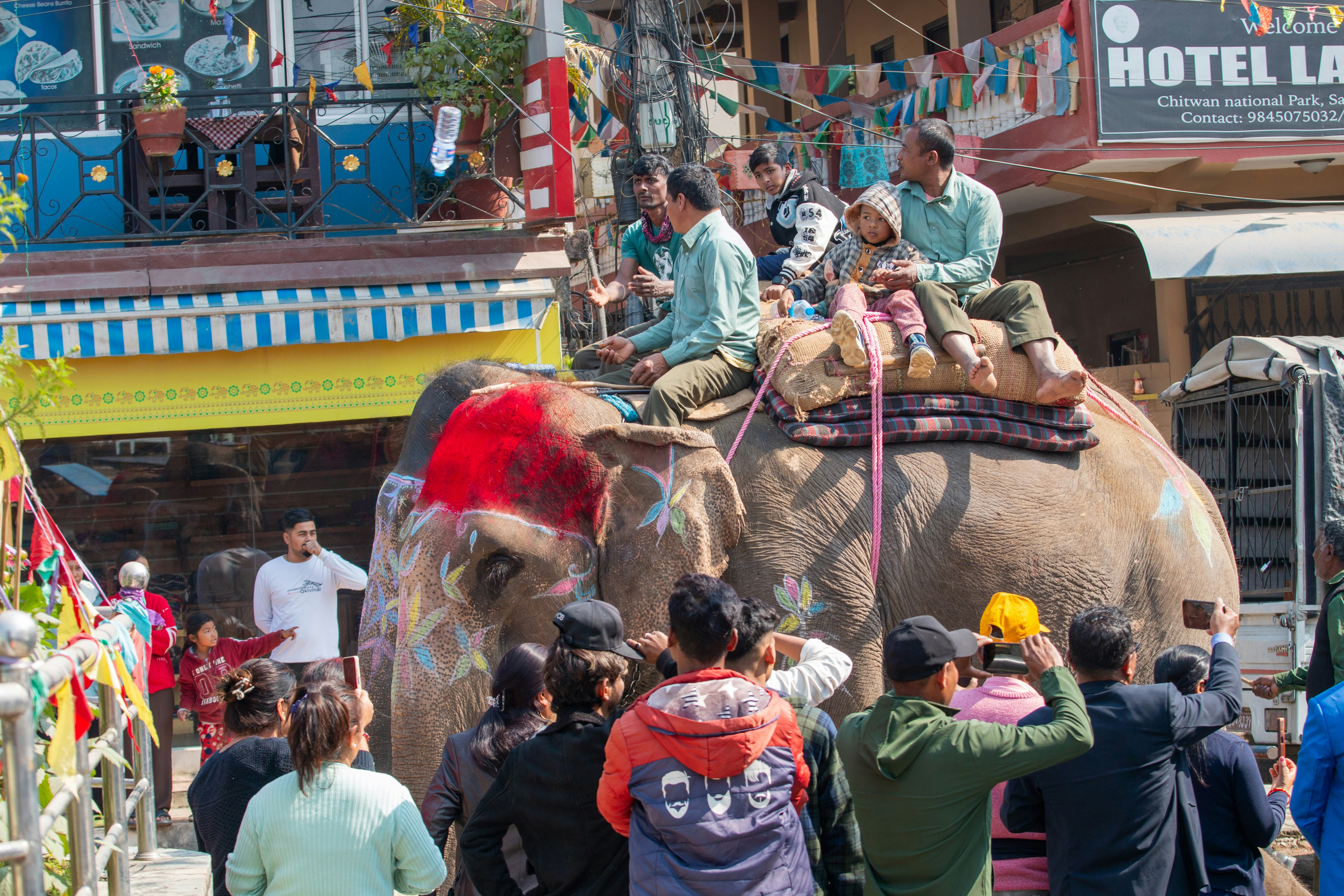 Crowd Watching Decorated Elephant Parade with Mahout in Chitwan