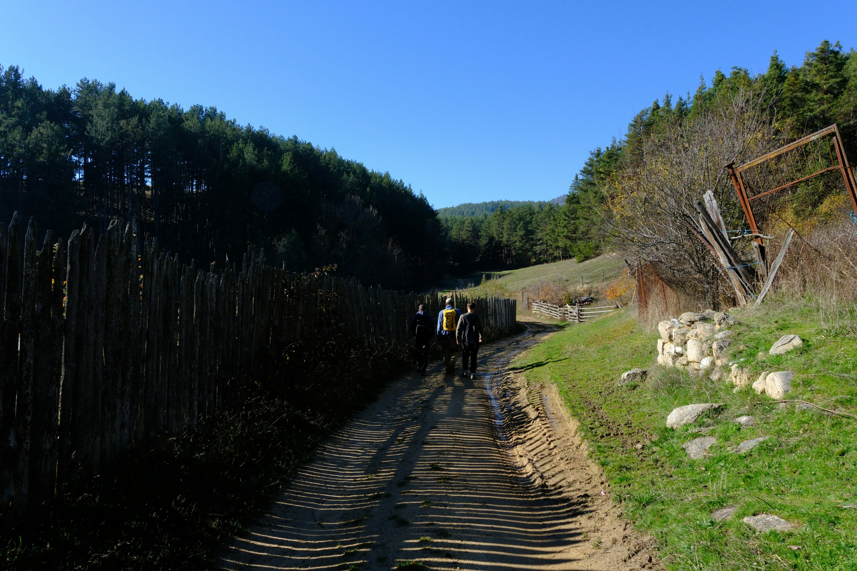 Footpath Dawn: Hikers on a Sunlit Rural Corridor