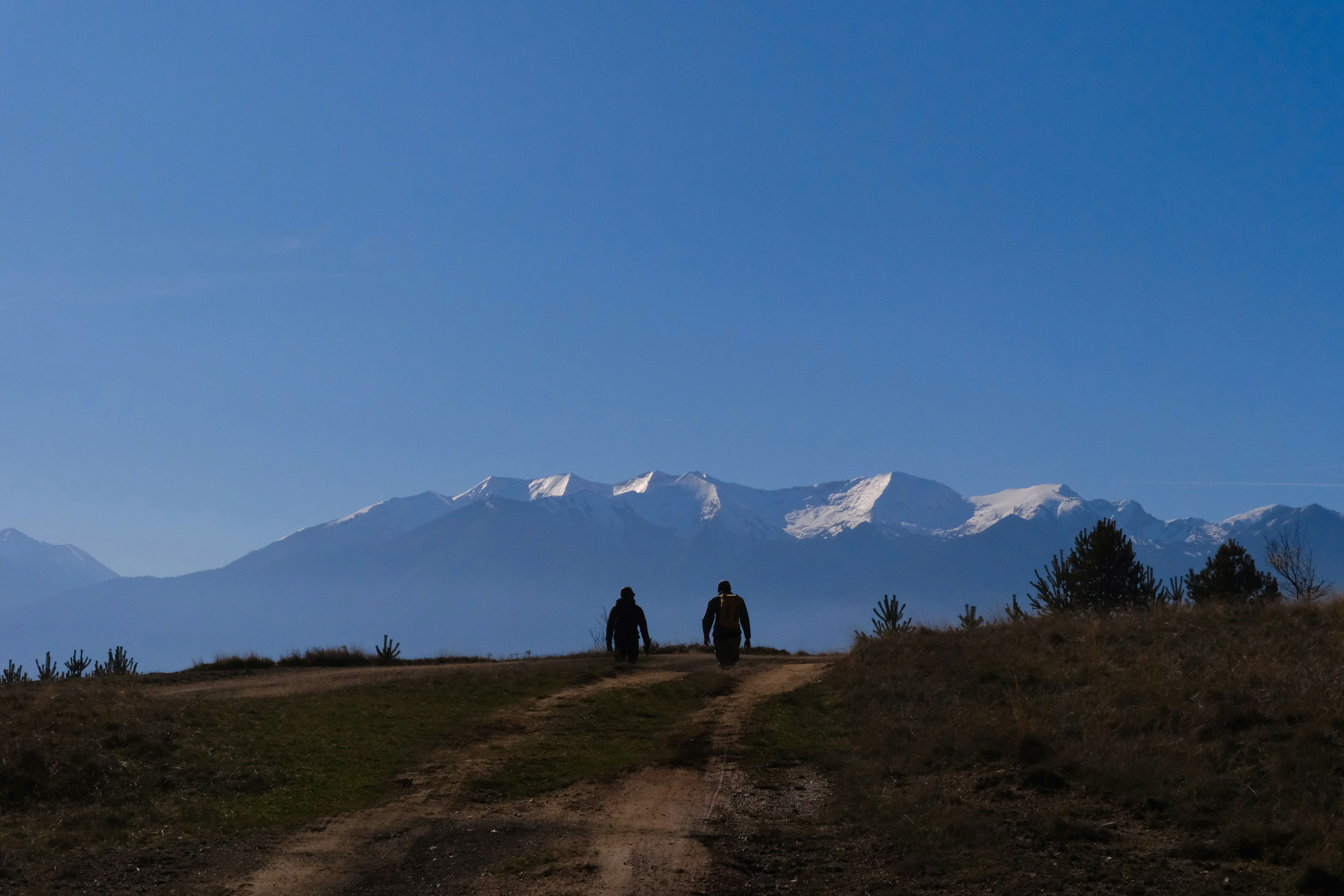 Trail Toward the Snowline: Two Hikers on a Quiet Alpine Path