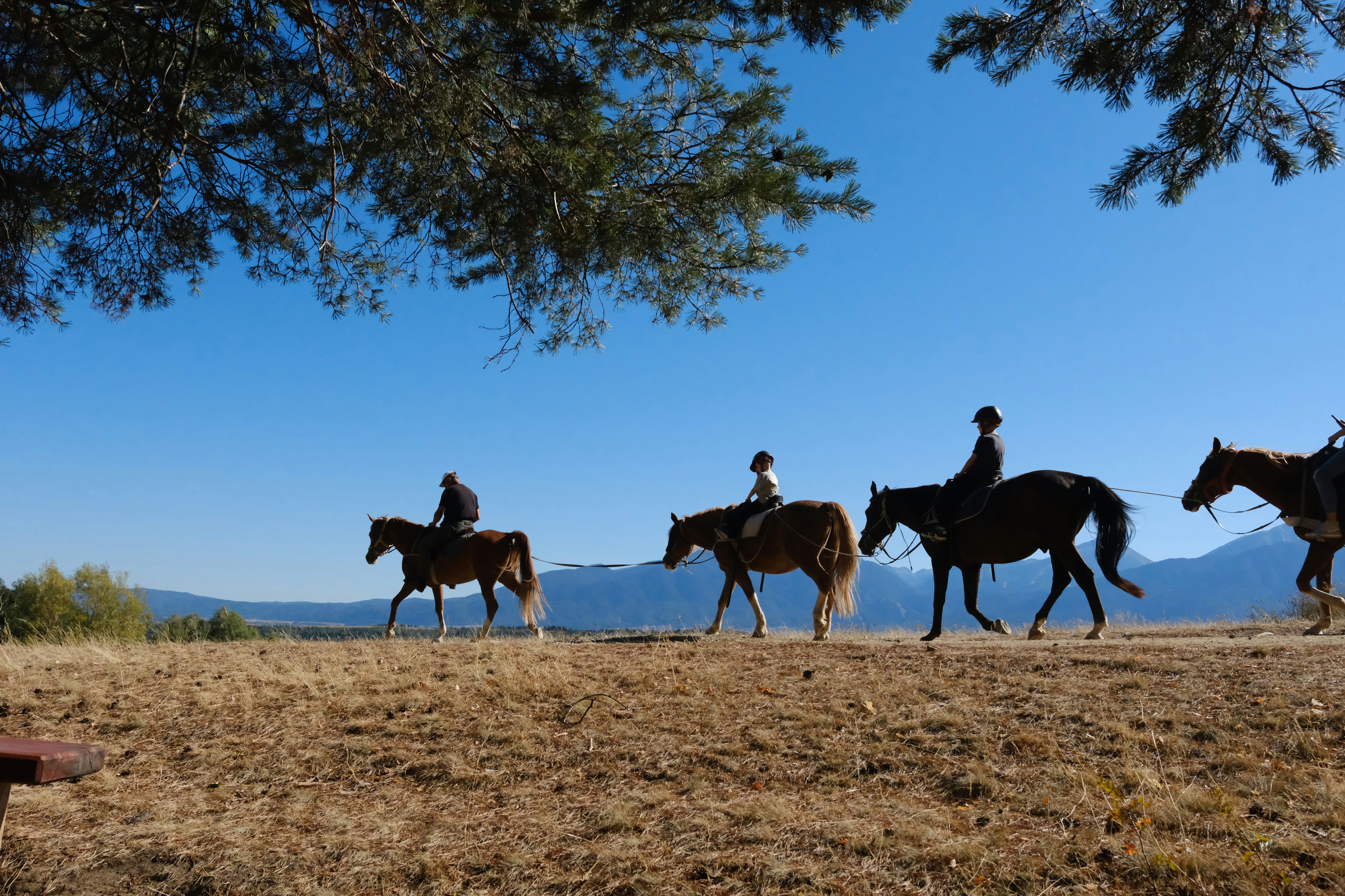 Cavalcade on a Sunlit Plain: Riders Crossing the Drought-Scarred Field