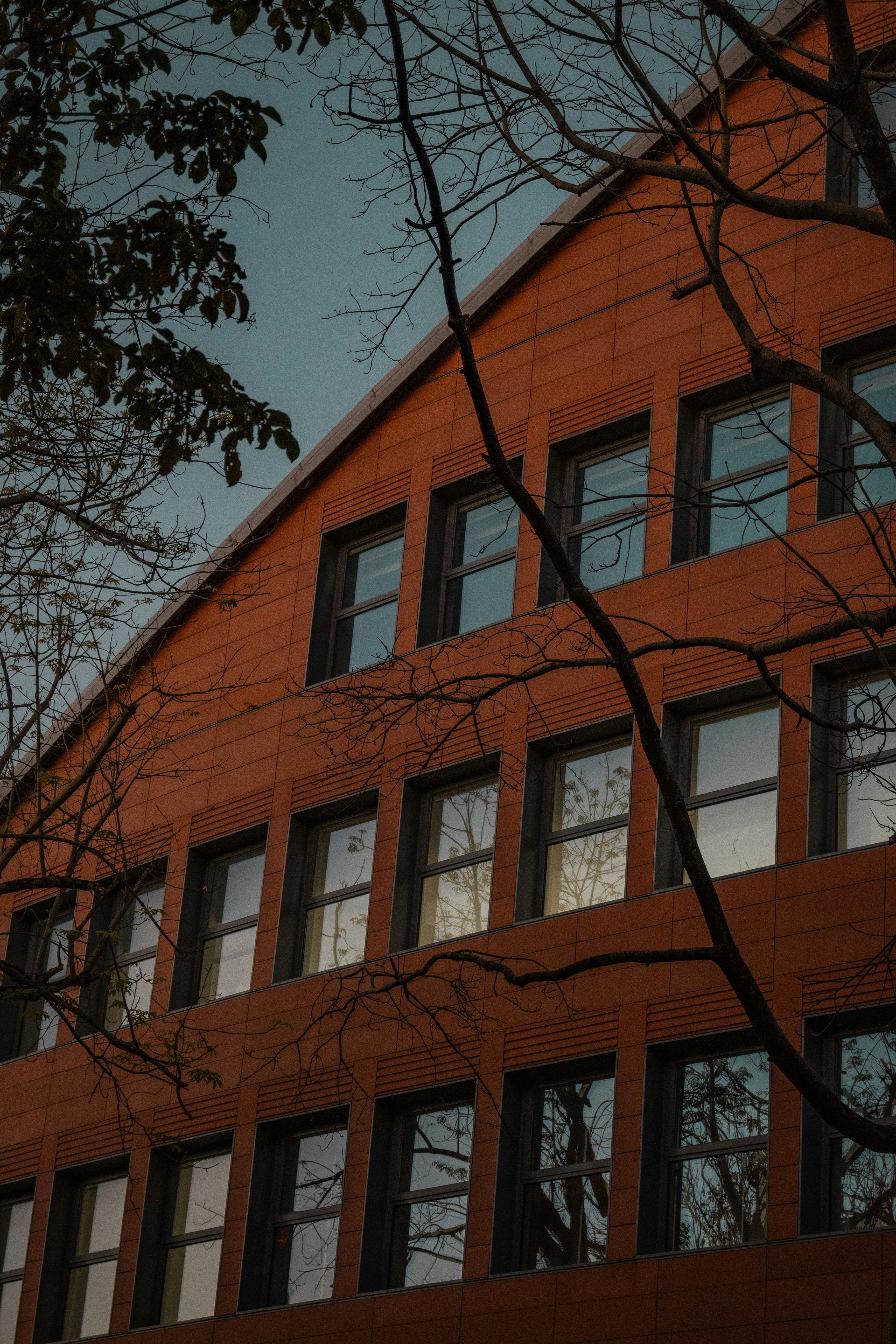 Photo by Murphy Fang with Nikon Zfc