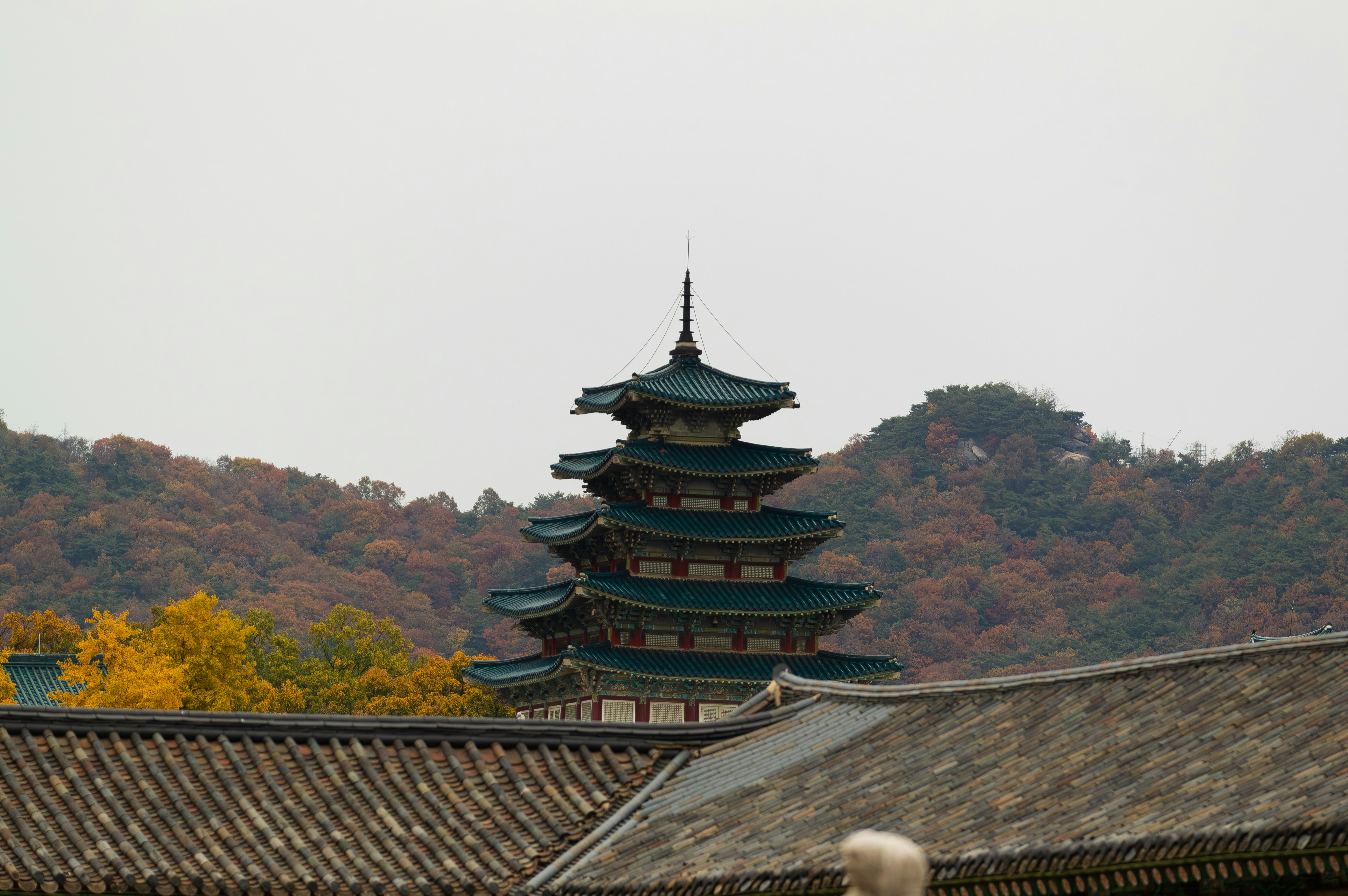 Five-Tier Pagoda Rising Behind Autumn Roofs