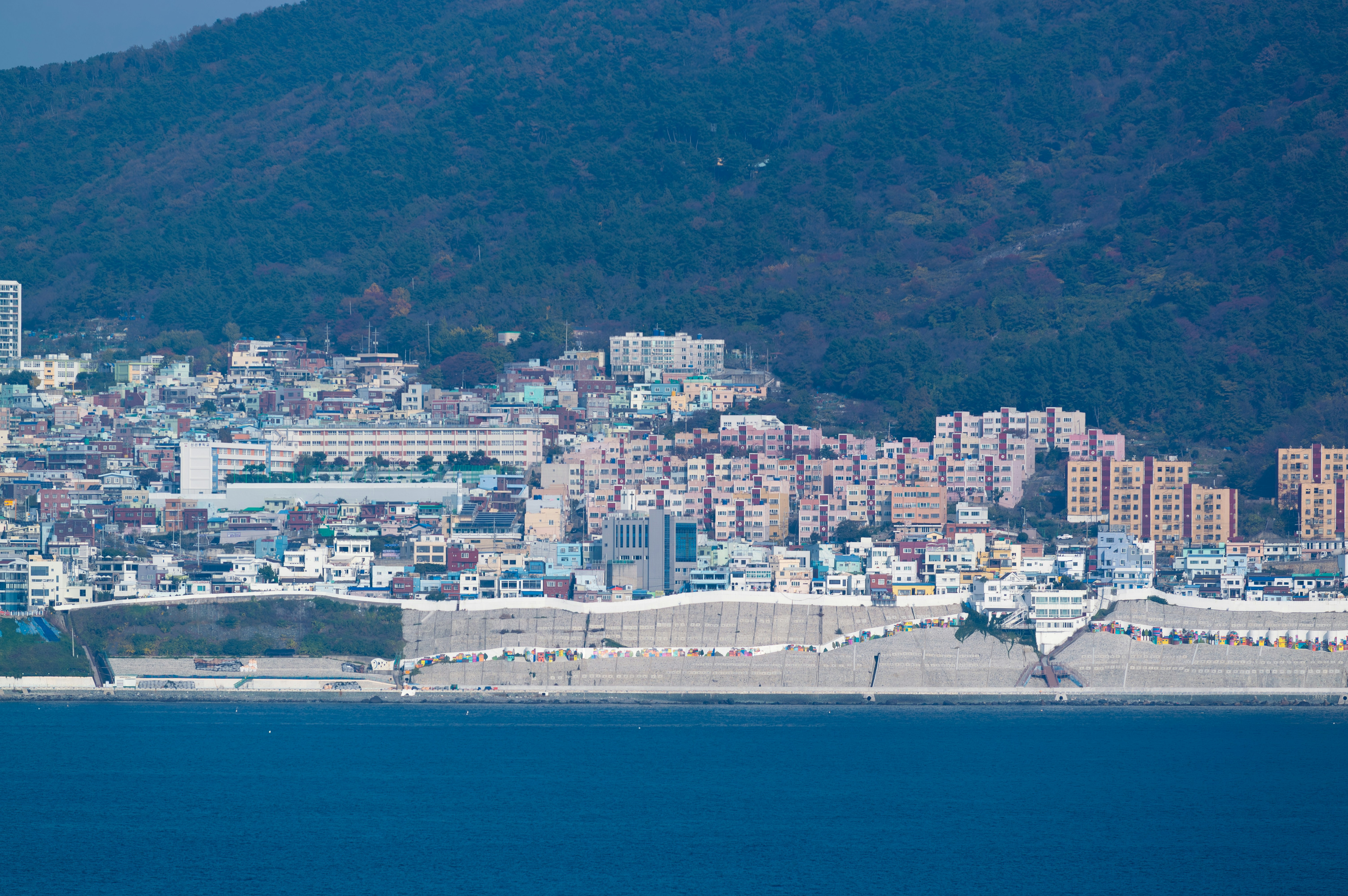 Colorful Seafront Tapestry: A Coastal City Clings to the Hillside