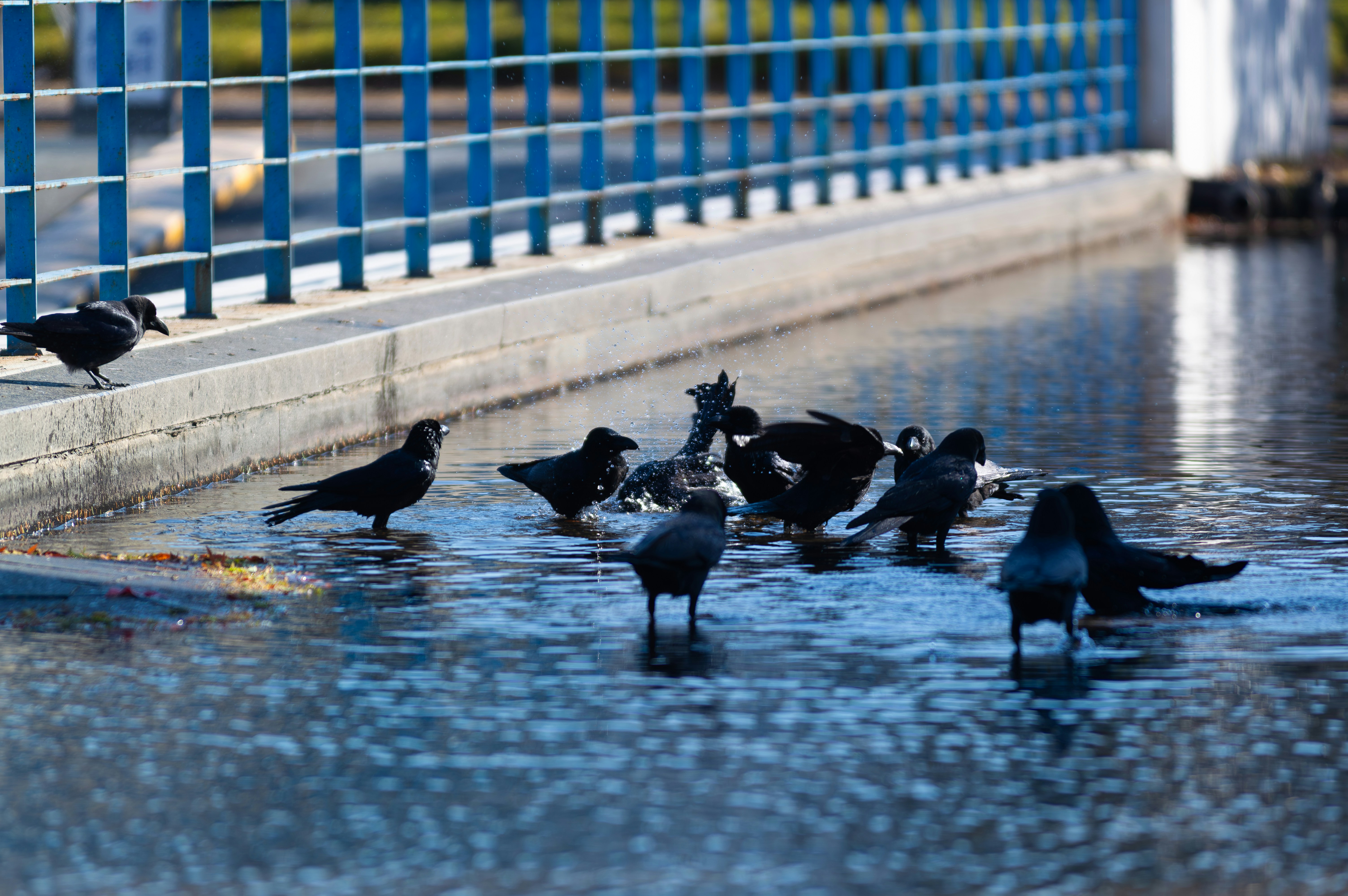 Photo by Artan Sadiku with Nikon D3200