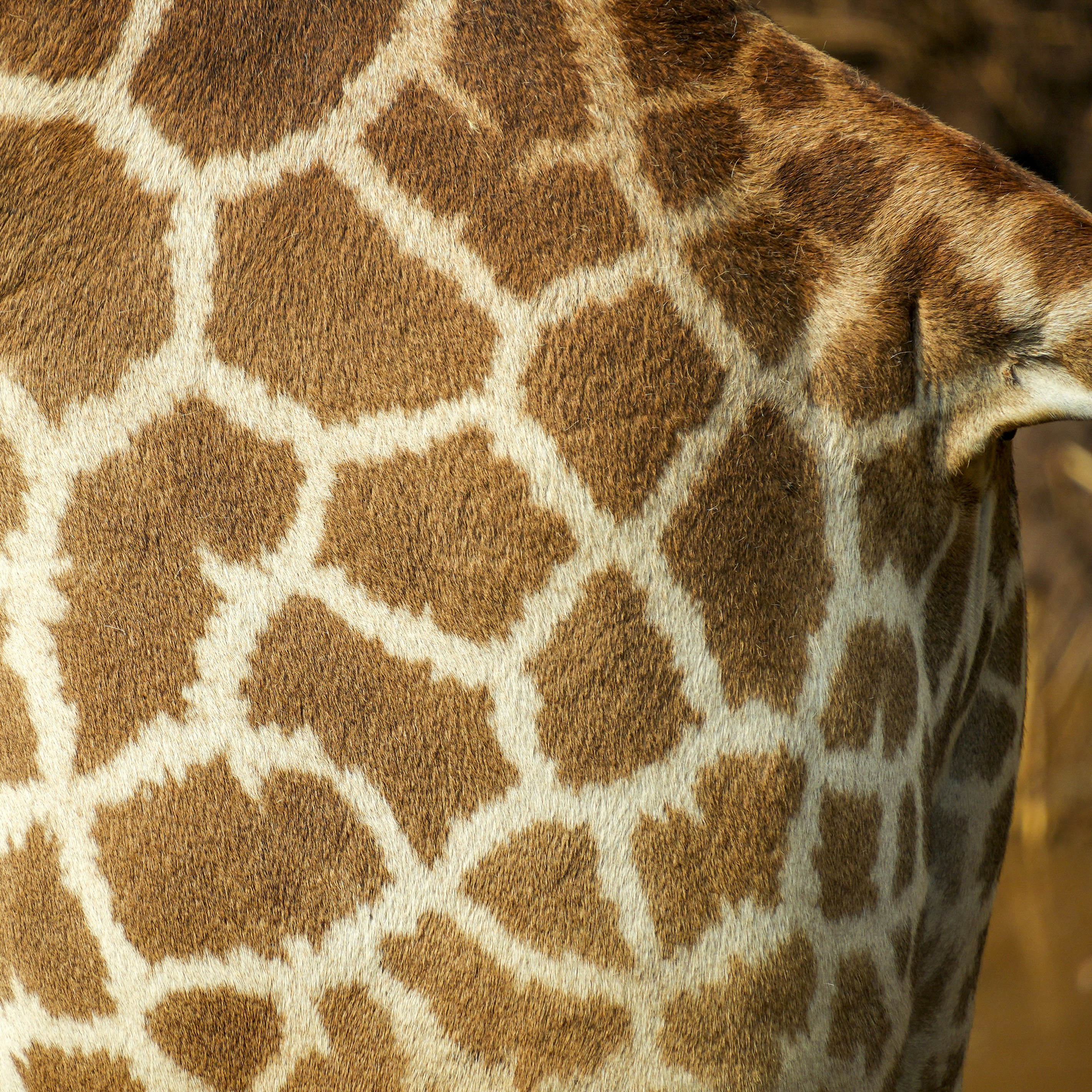 Photo by Anatoly Maltsev with Sony Alpha 7 IV